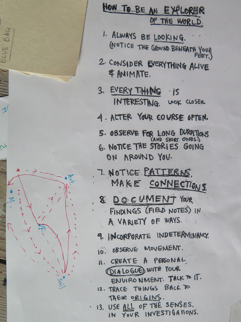 The Song Of The Swamp | Nature inFocus