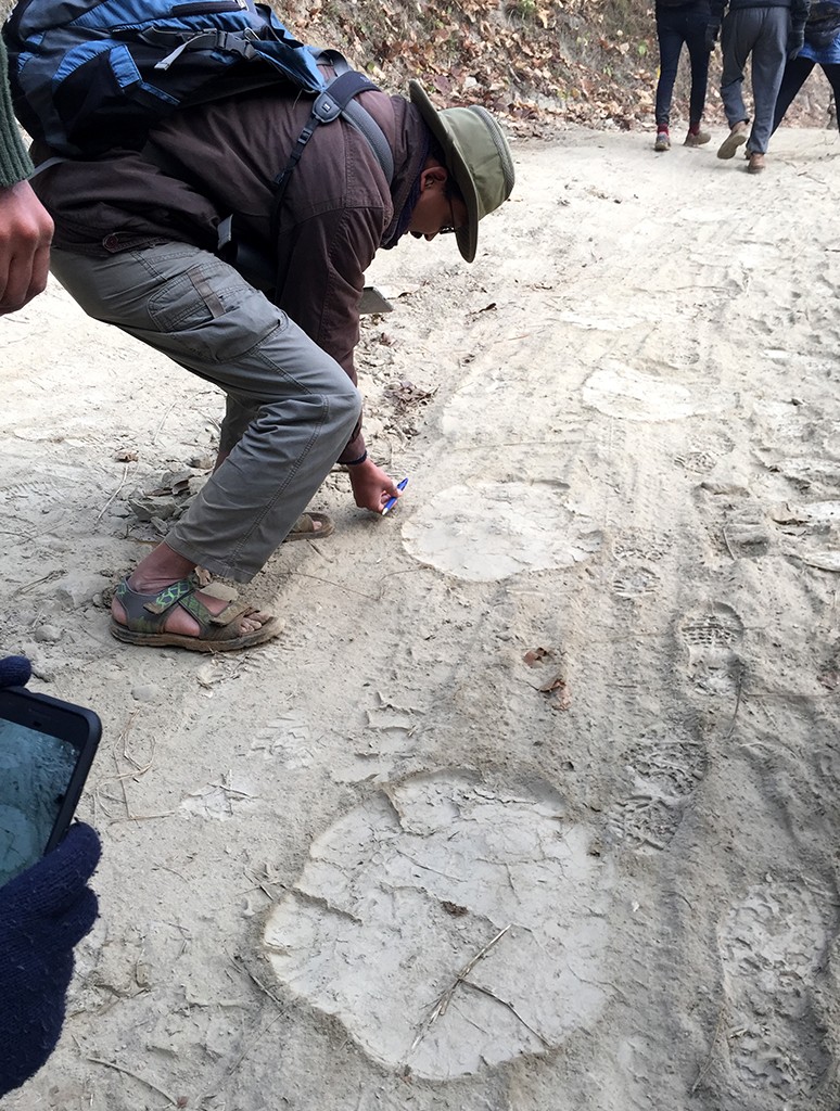 Top 10 Jobs That Allow You To Work With Nature | Nature inFocus