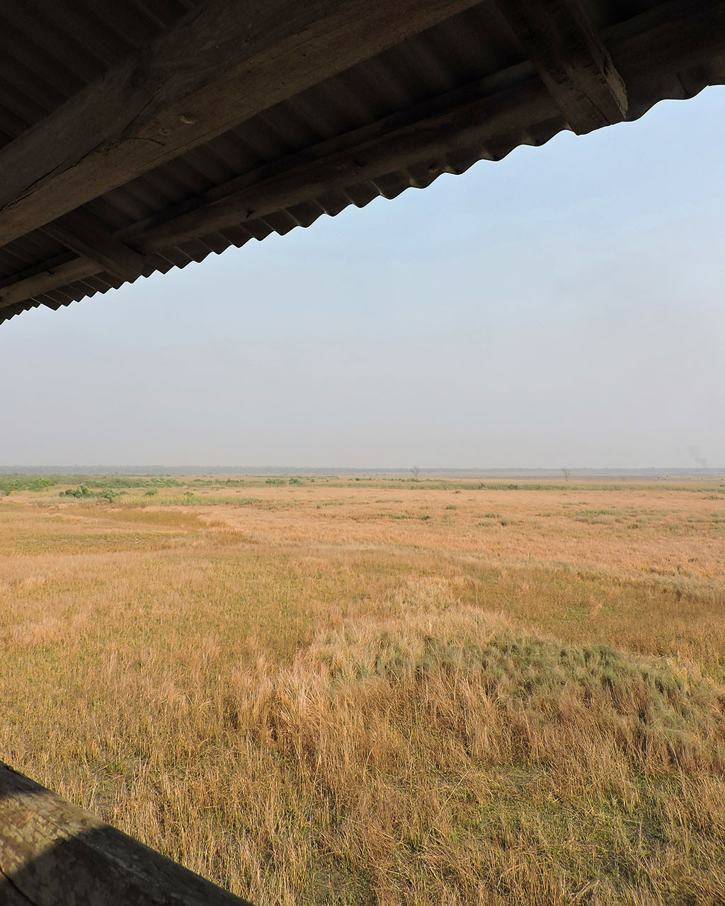 The Many Worlds Of River Sharda | Nature inFocus