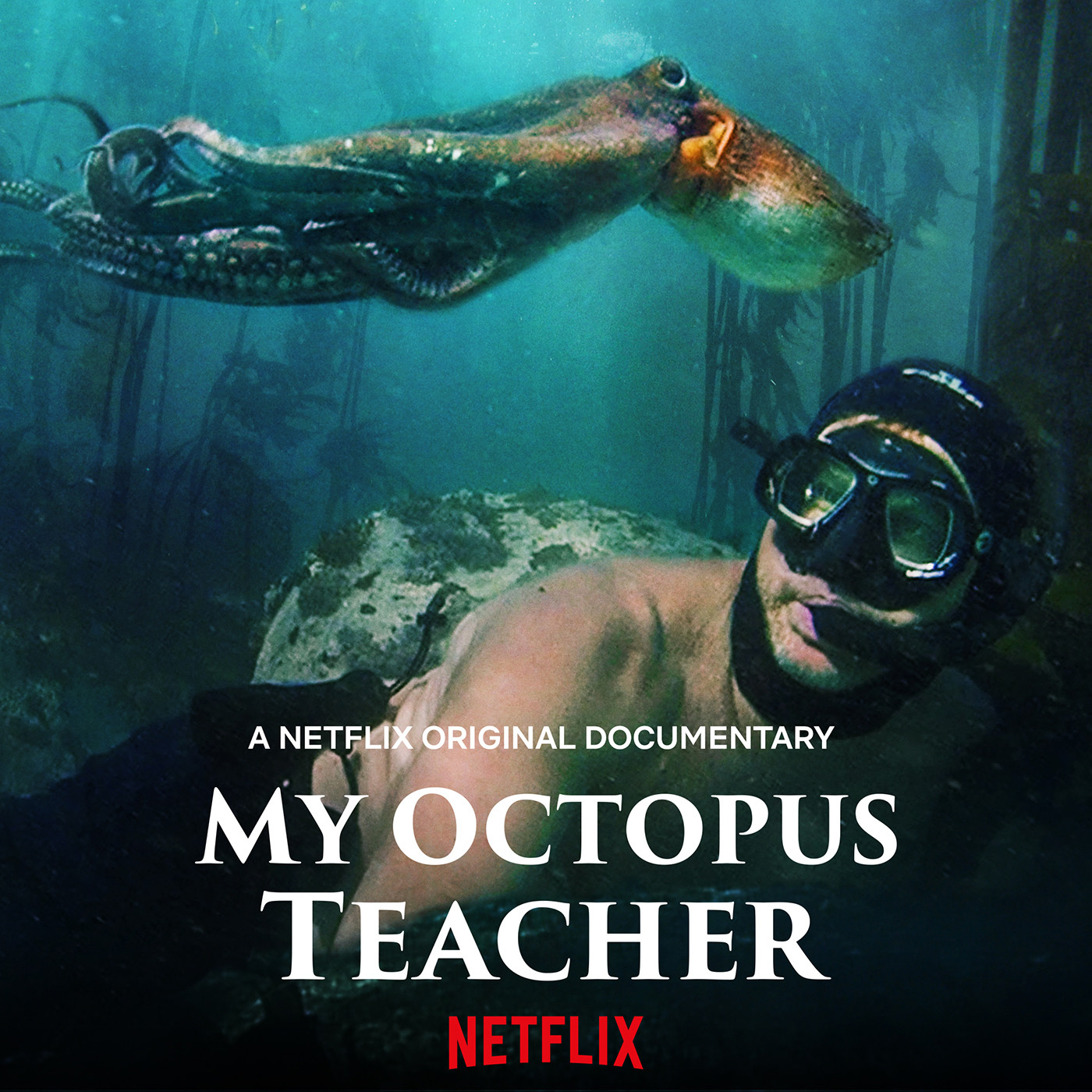 My Octopus Teacher: Conversations with Craig Foster & Pippa Ehrlich | Nature inFocus