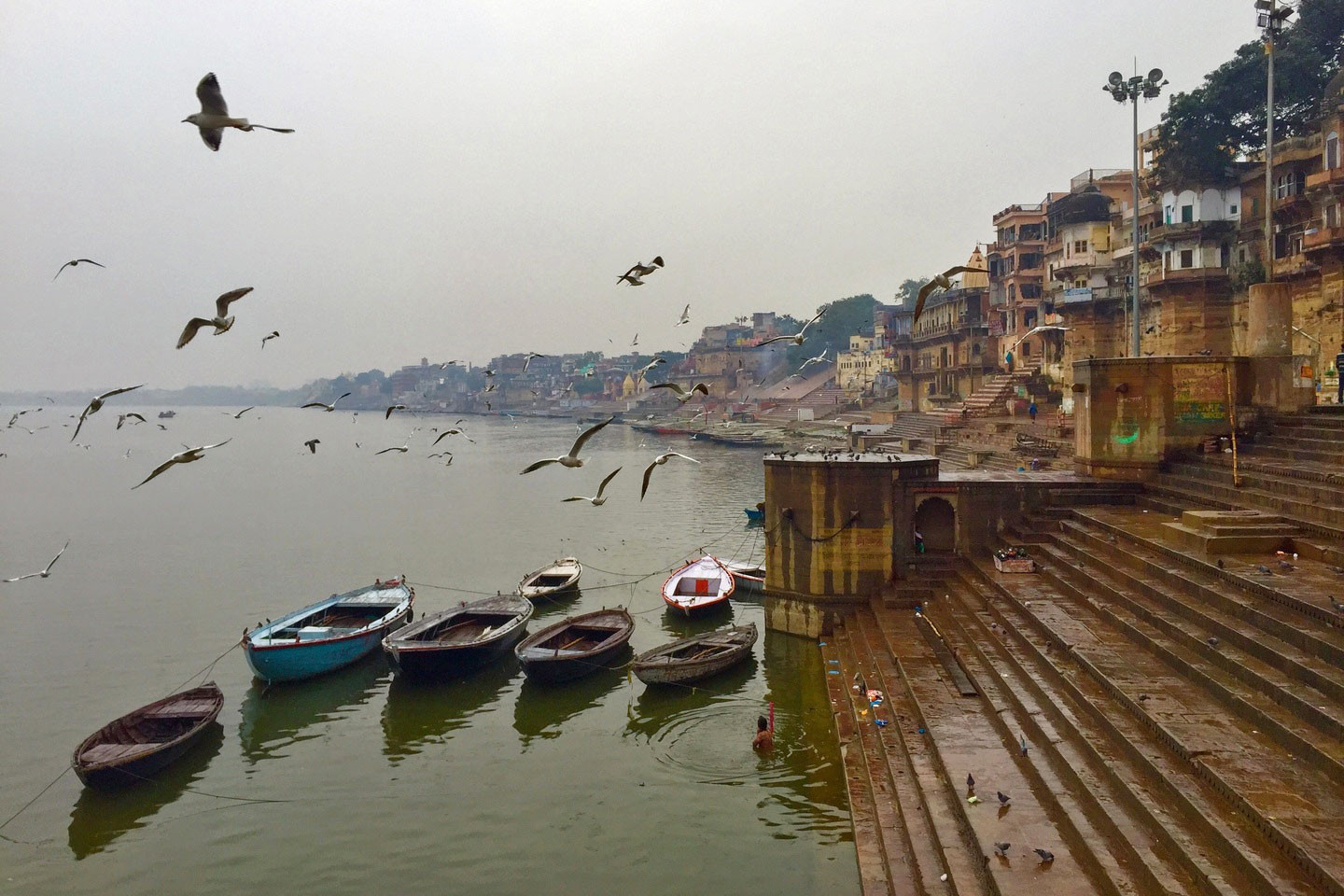 The Babbler: Issue No. 23 | Nature inFocus