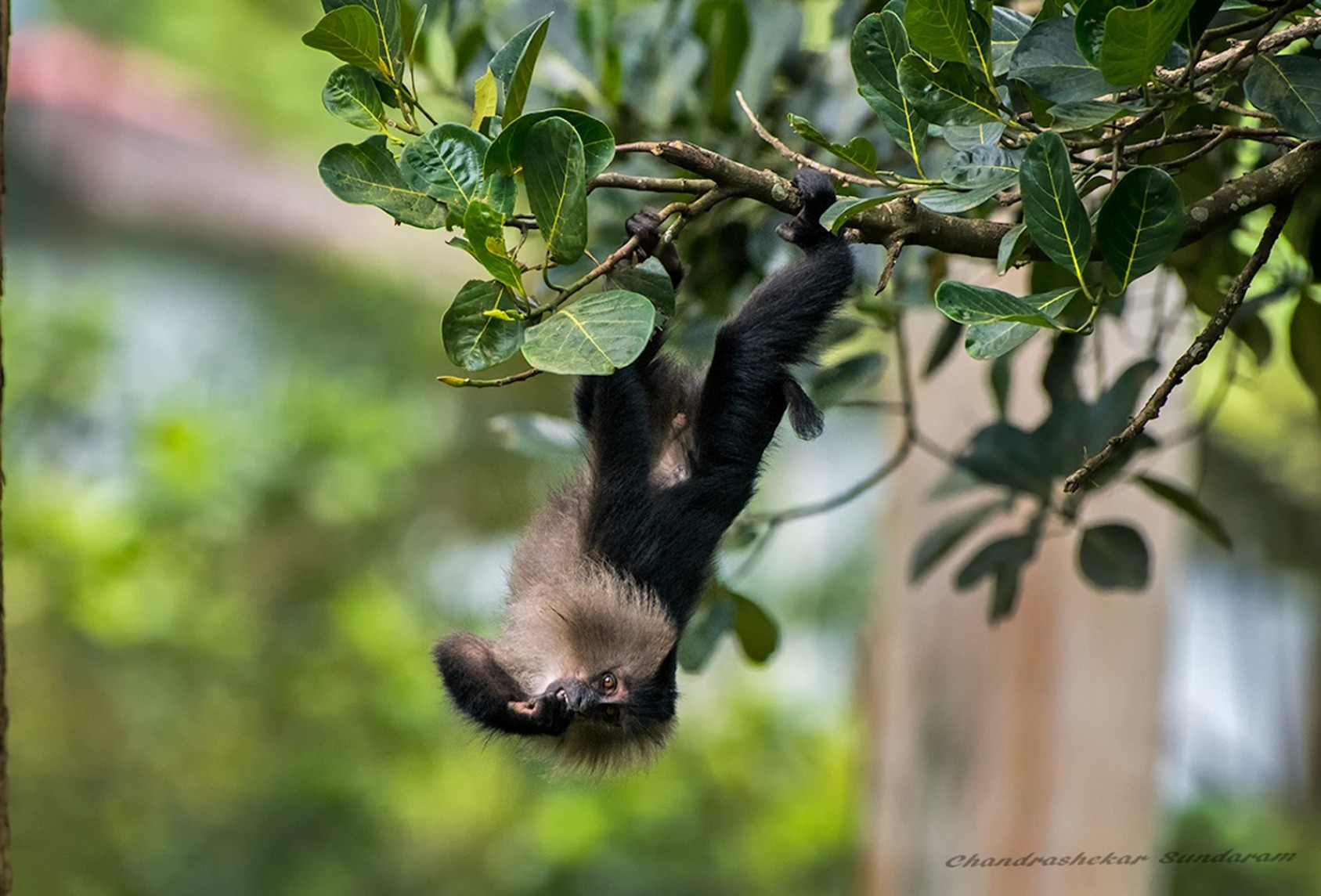 Journey Into The Upside Down - slide13 | Nature inFocus
