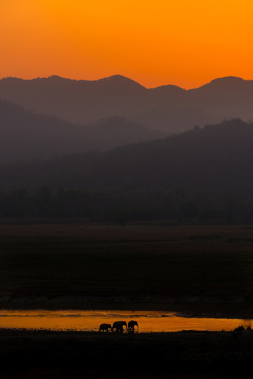 The Wild Nation – Mountains | Nature inFocus