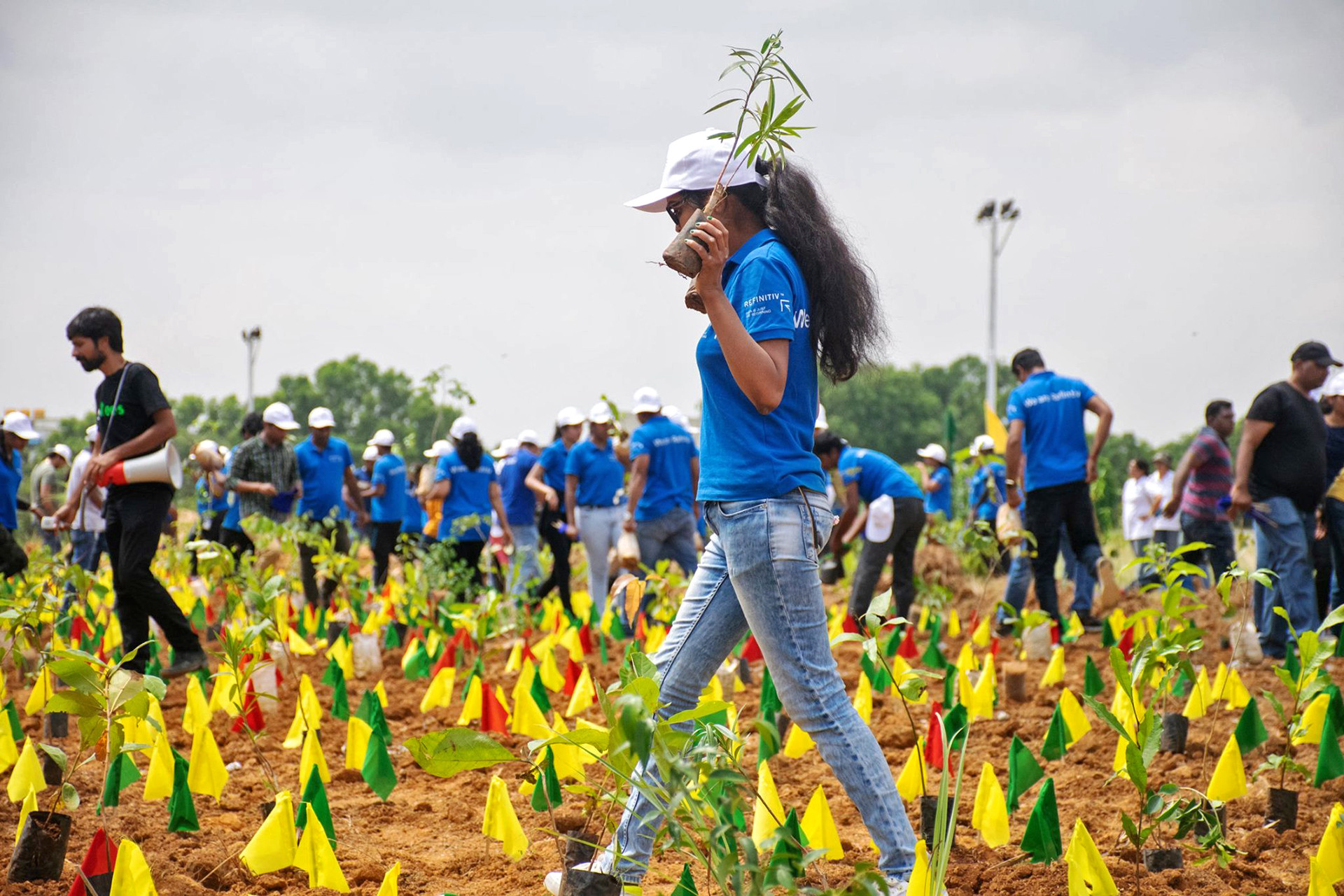 SayTrees: We Can Regrow Our Urban Forests | Nature inFocus