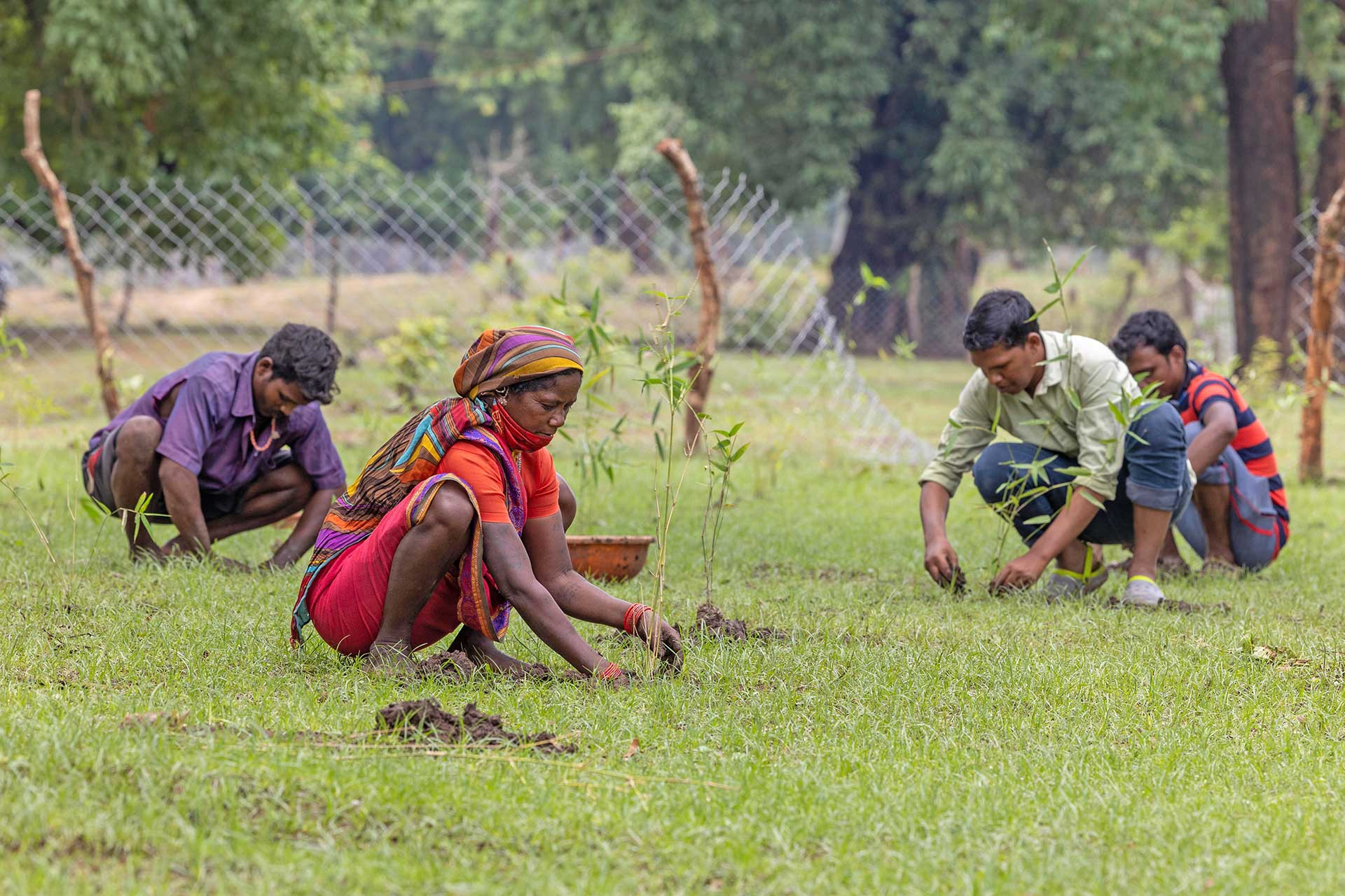 Empowering The Baiga Tribe To Farm Sustainably | Nature inFocus