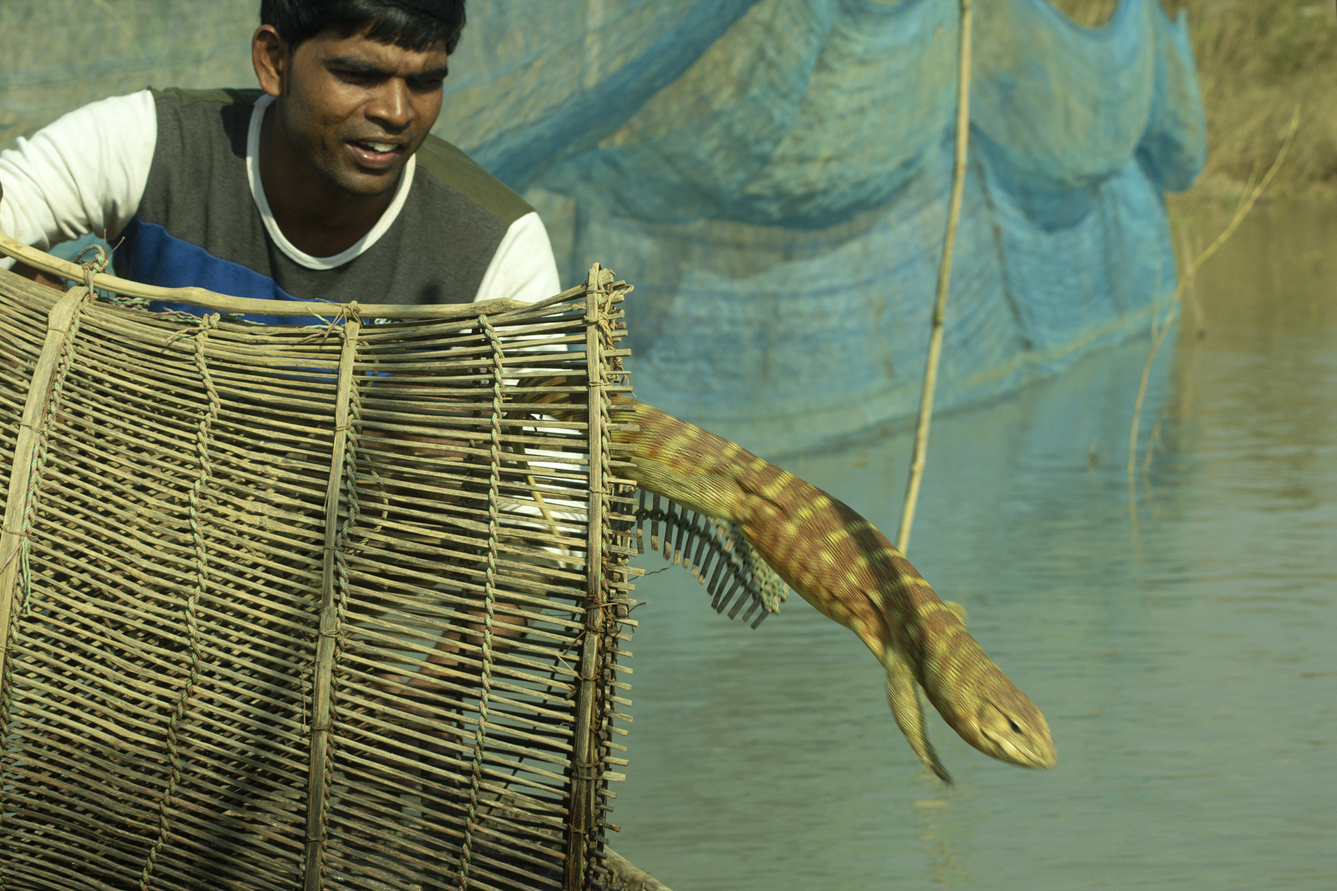 A Strong Voice For The Endangered Ganges River Dolphin | Nature inFocus