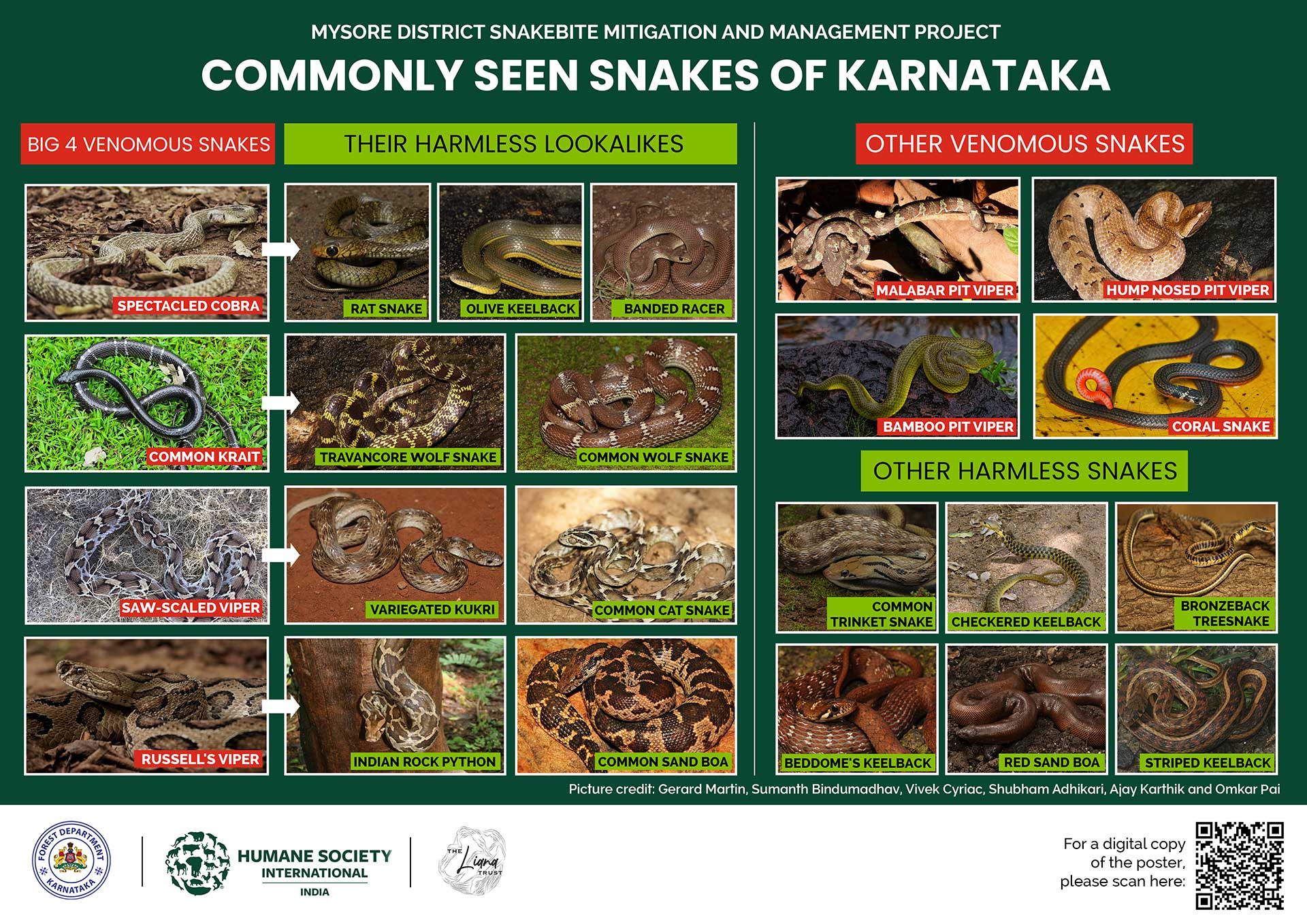 Karnataka Gets Its First-Ever WhatsApp Chatbot For Snakebite Awareness ...