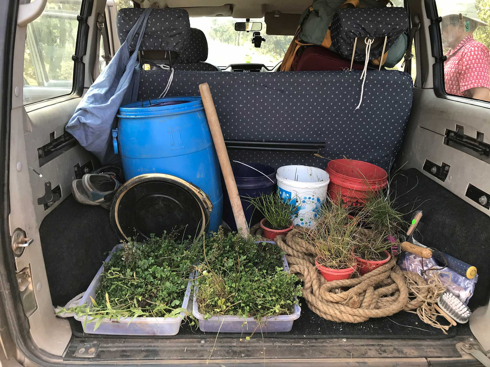 How To Design A Restoration Project | Nature inFocus