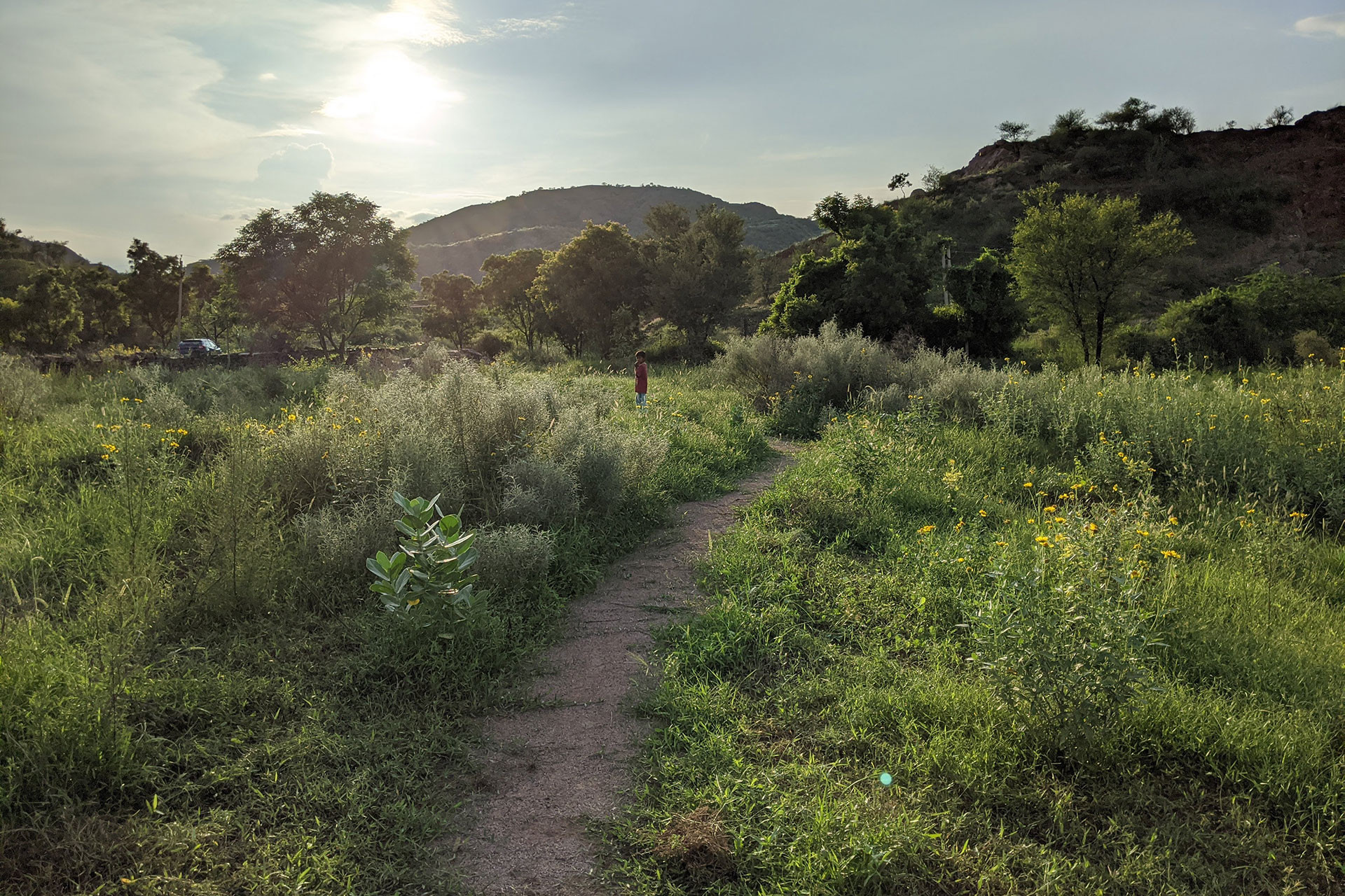 How To Design A Restoration Project | Nature inFocus