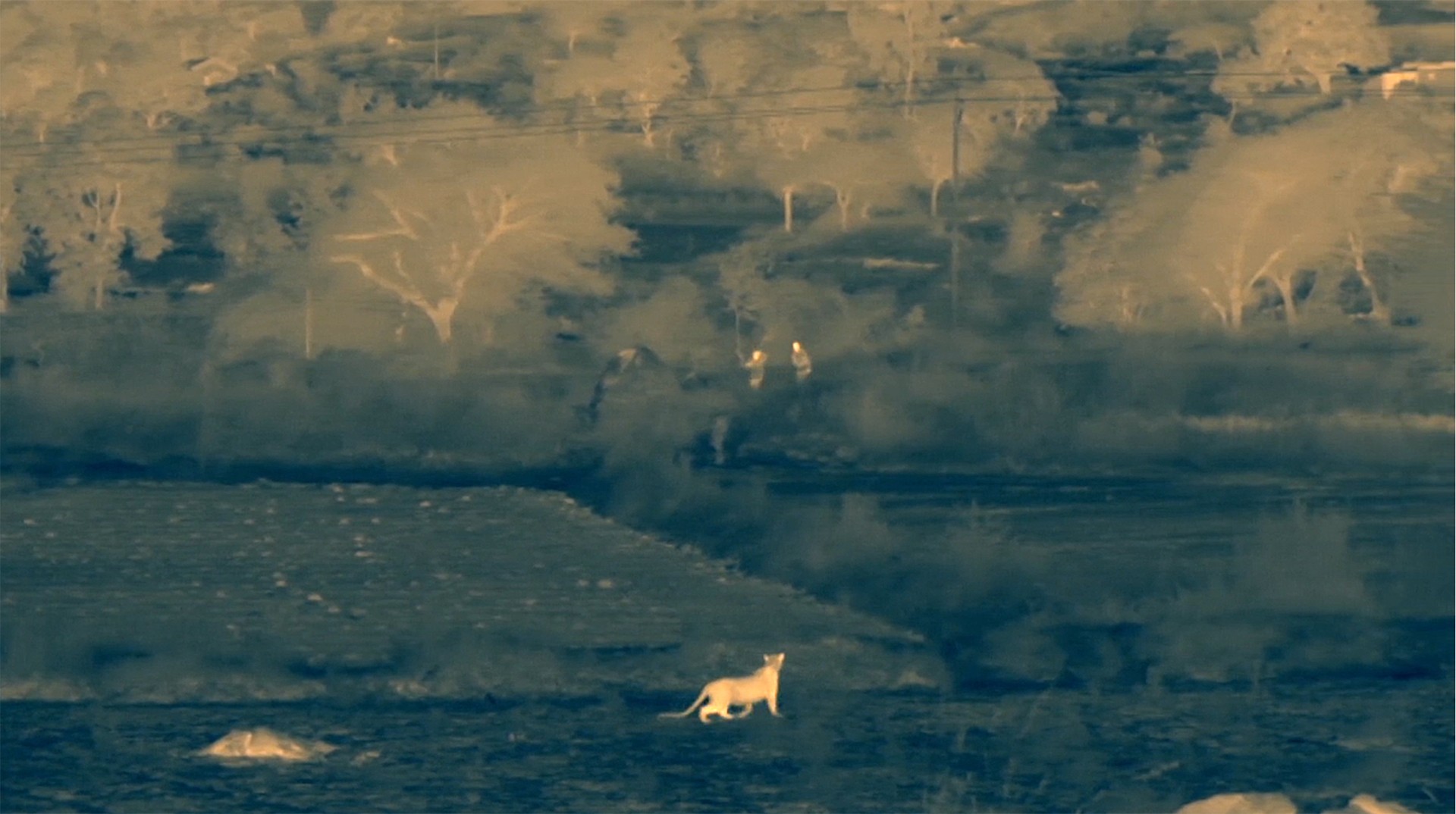 Top 10 Jobs That Allow You To Work With Nature | Nature inFocus