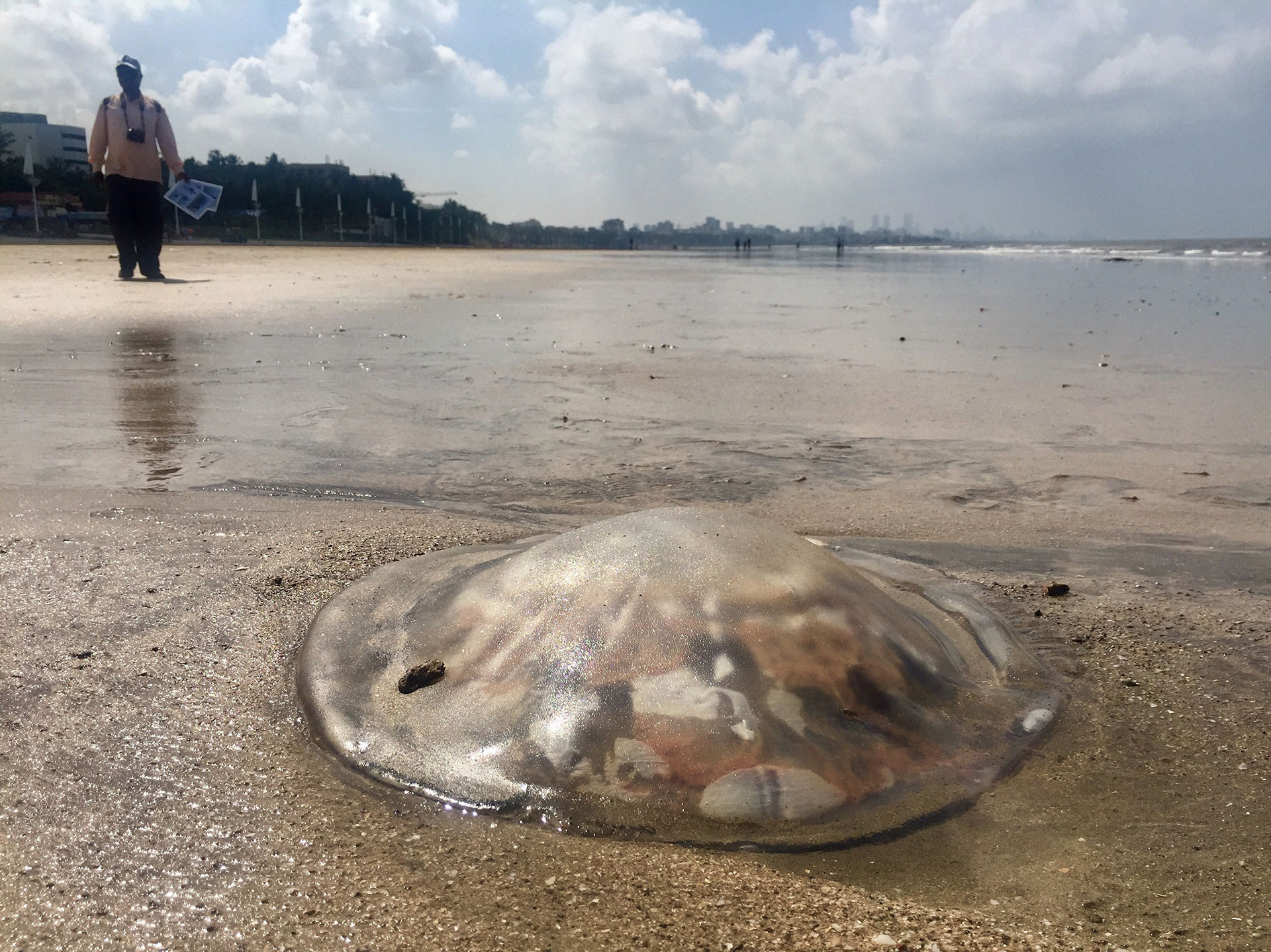 Make Your Photographs Count With These Citizen Science Projects ...