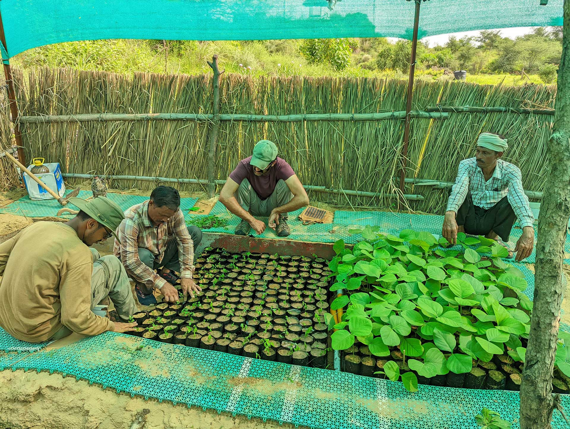 How To Design A Restoration Project | Nature inFocus