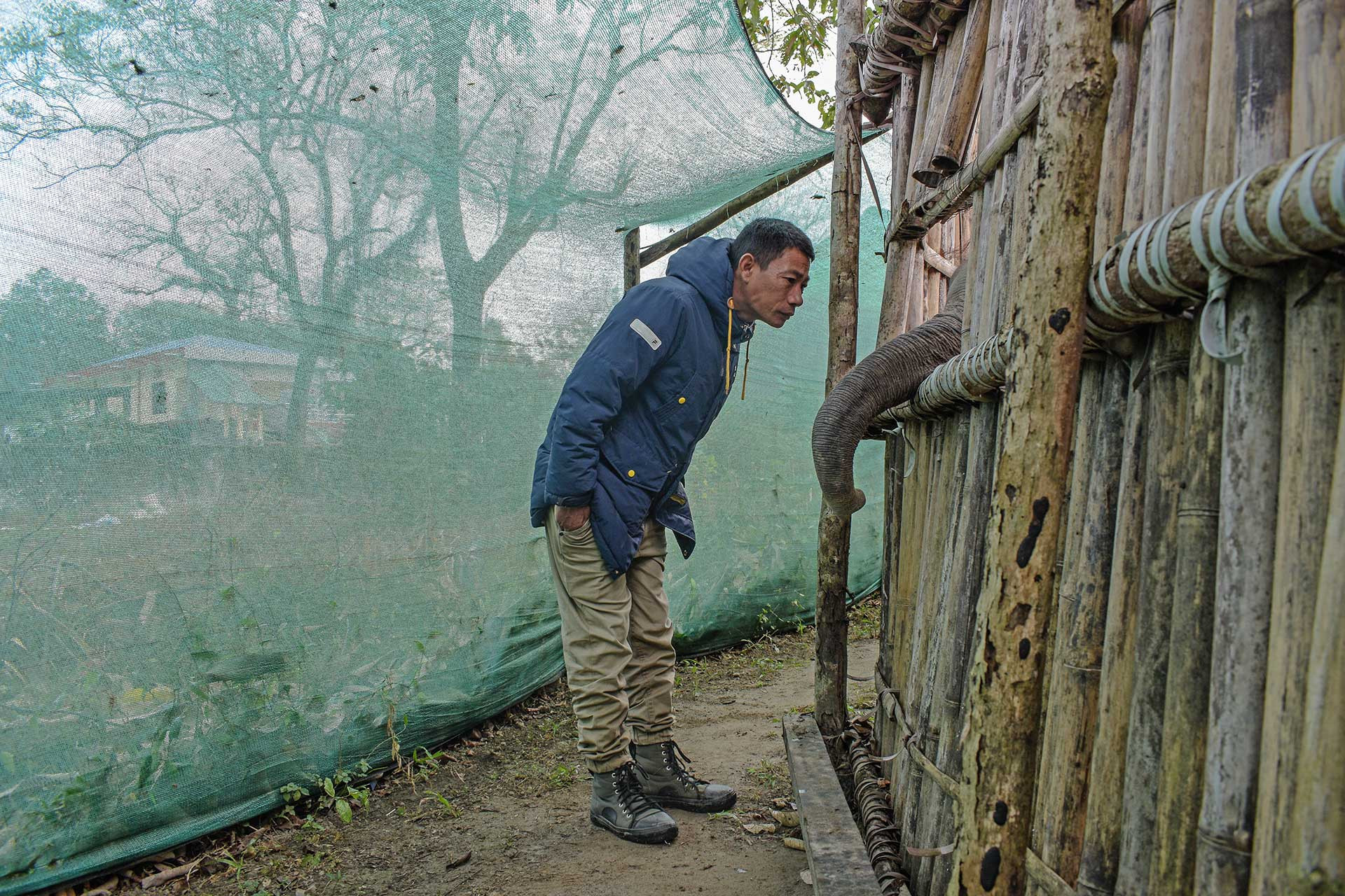 Wandering The Lost World Of Pakke | Nature inFocus