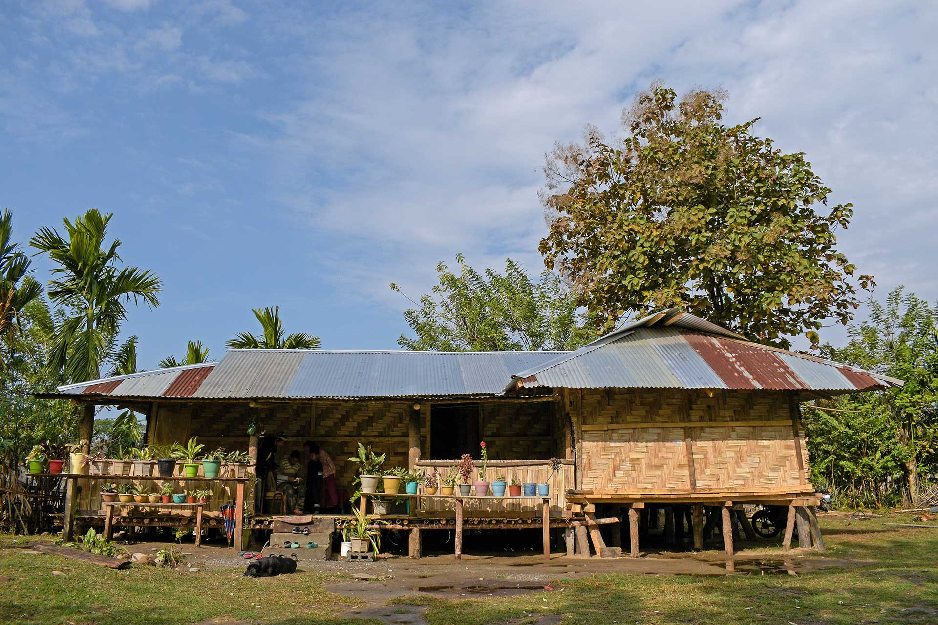 Wandering The Lost World Of Pakke | Nature inFocus