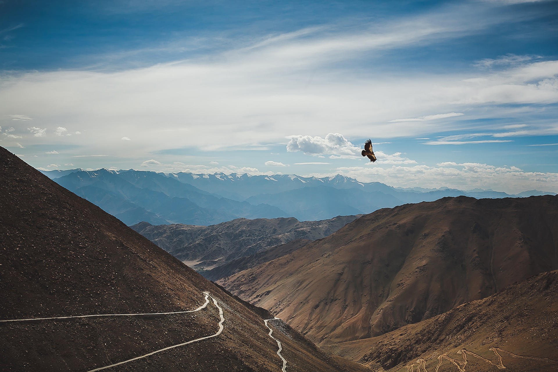 The Wild Nation – Mountains | Nature inFocus