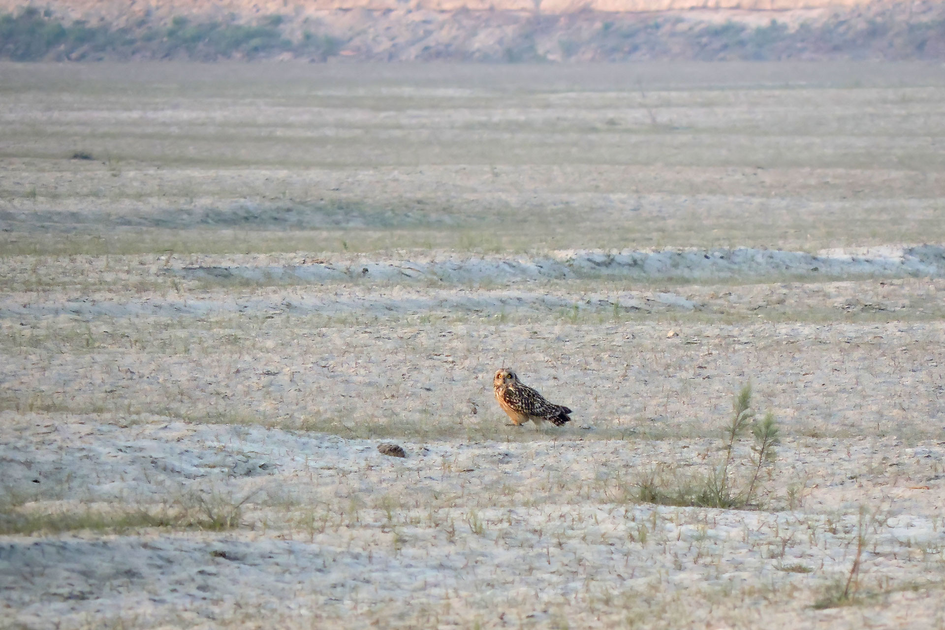 The Many Worlds Of River Sharda | Nature inFocus