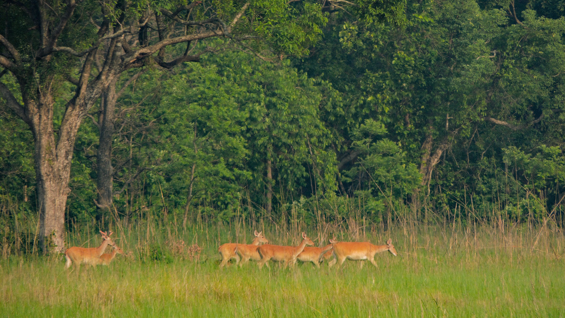 The Many Worlds Of River Sharda | Nature inFocus