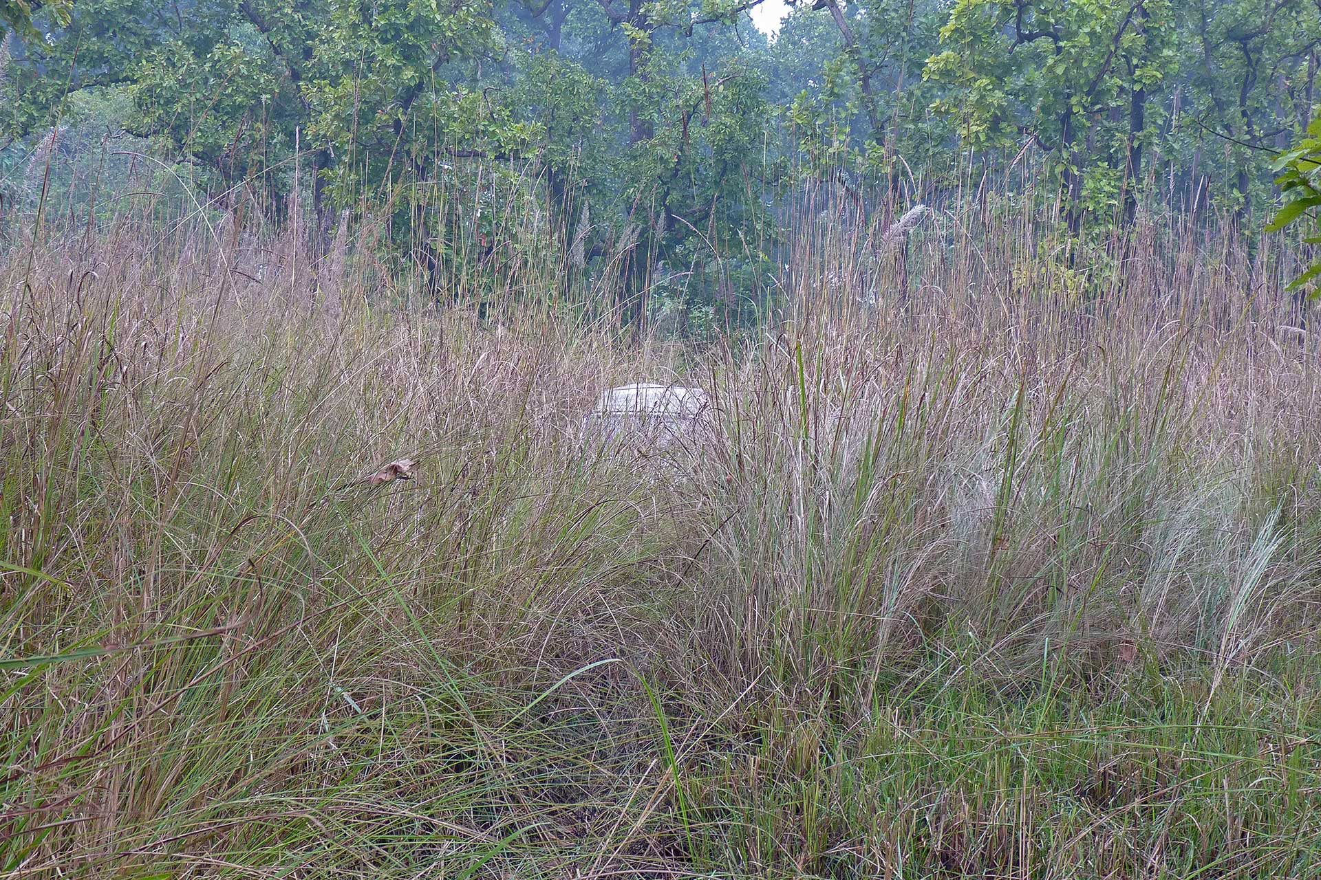 The Many Worlds Of River Sharda | Nature inFocus