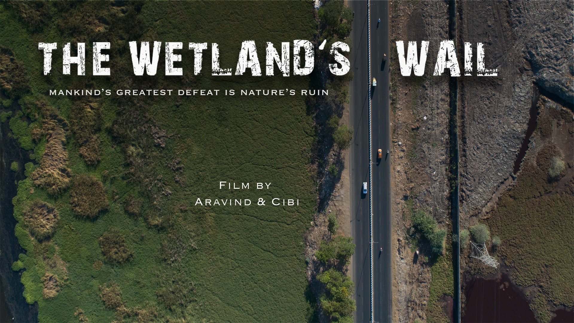 Nature inFocus Film Awards 2019: The Winners | Nature inFocus