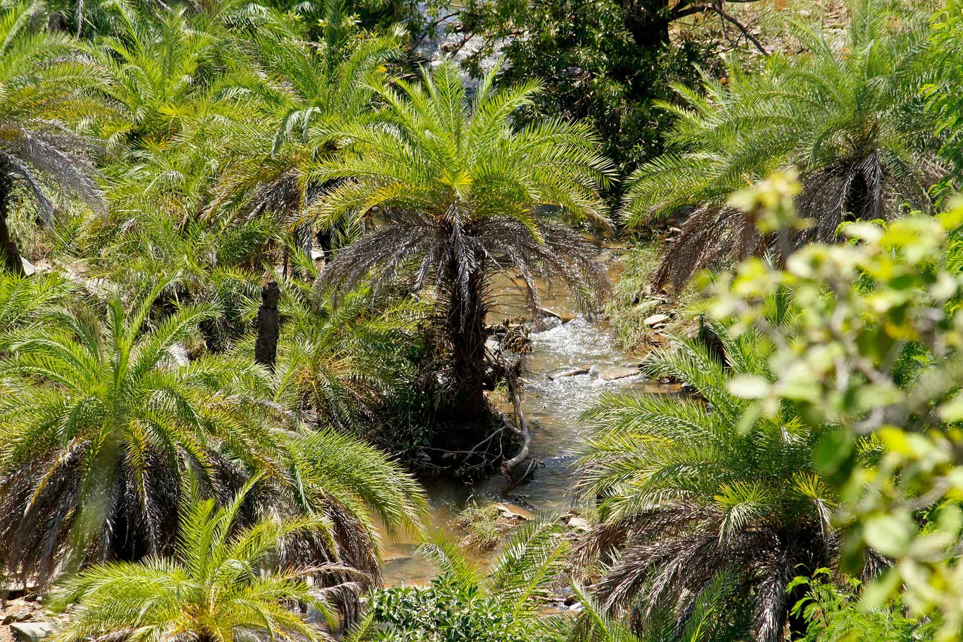 Conservation And The Commons | Nature inFocus