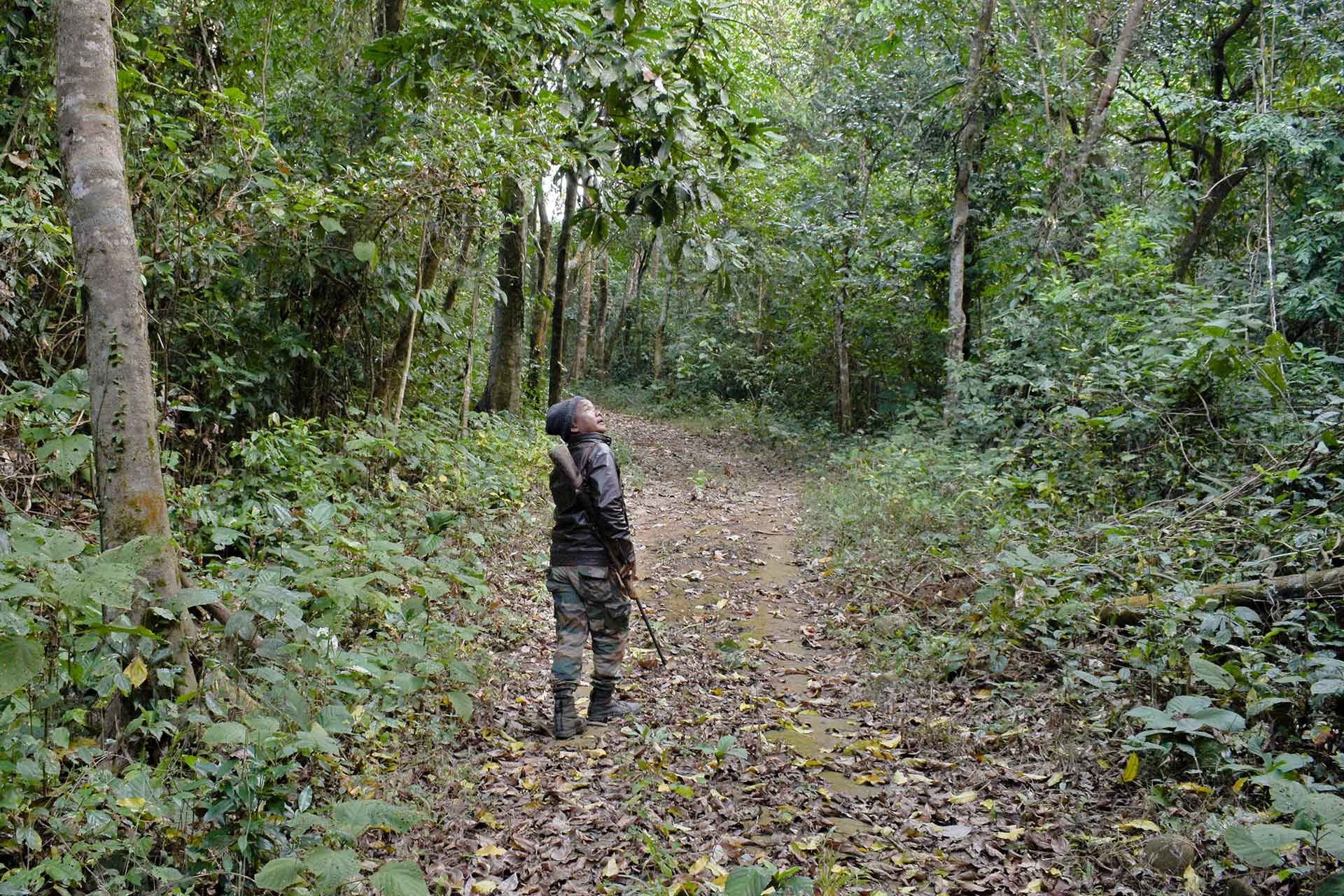 Shadowing Pakke's Veteran STPF Officer | Nature inFocus