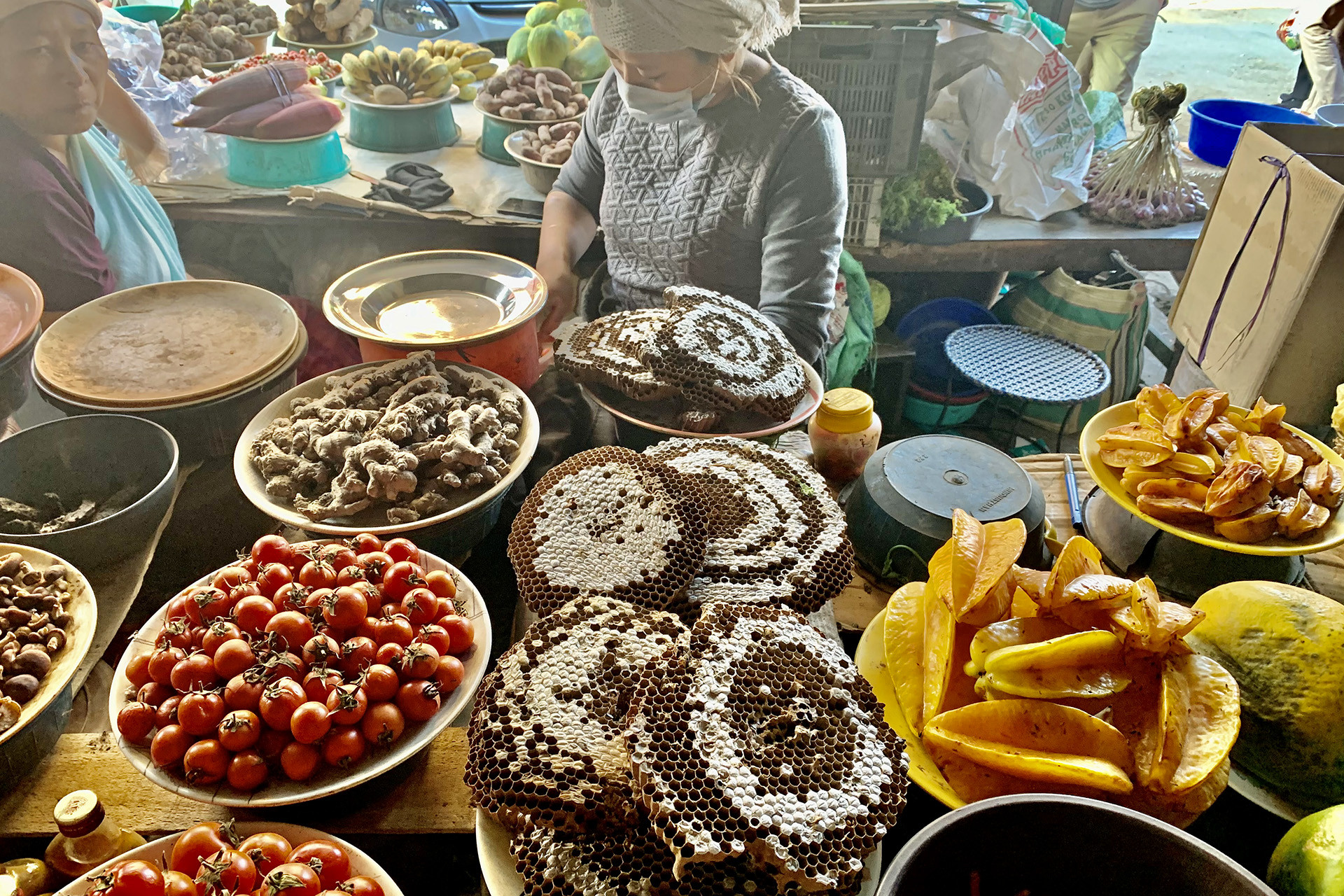 Are Insects The Answer To Our Food Crisis? | Nature inFocus