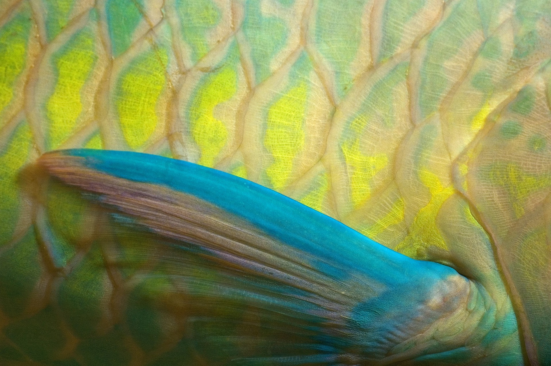 Delight In The Details | Nature inFocus