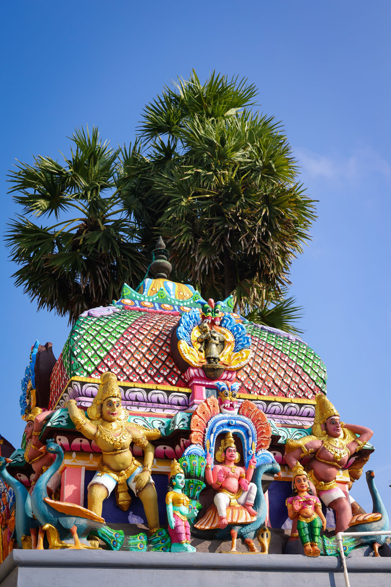 A Tree that Transcends Time | Nature inFocus