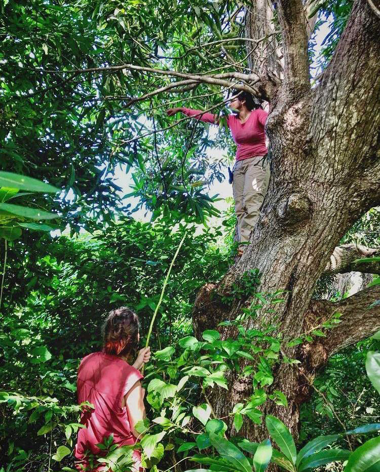 Ashwini Mohan Talks Geckos, Islands And Evolution | Nature inFocus