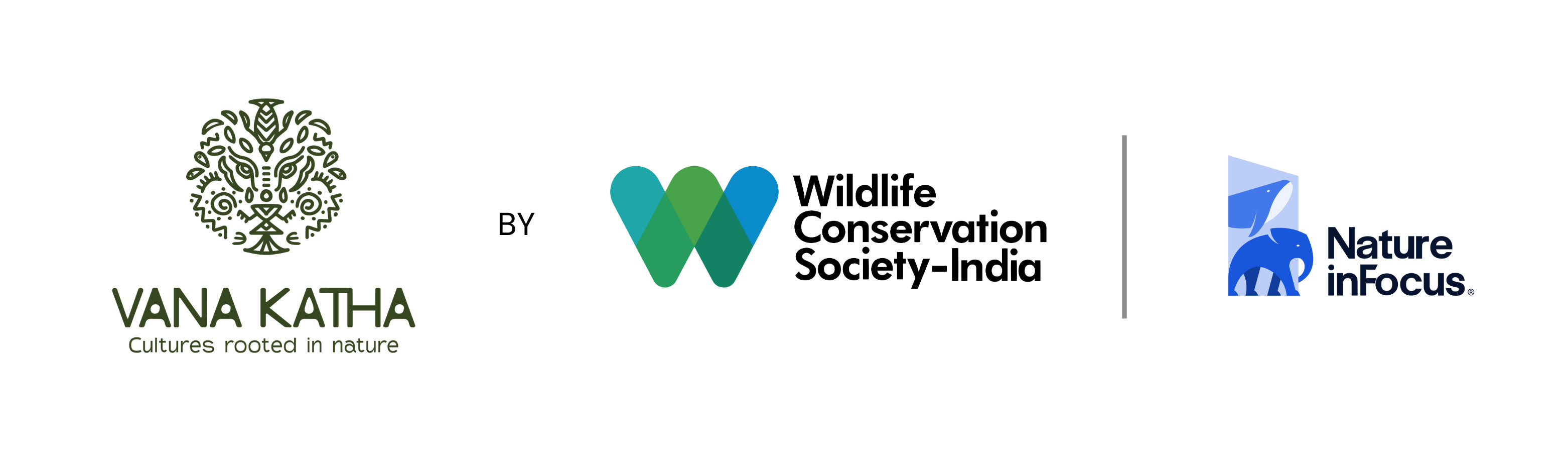 Three Trees, Three Stories | Nature inFocus