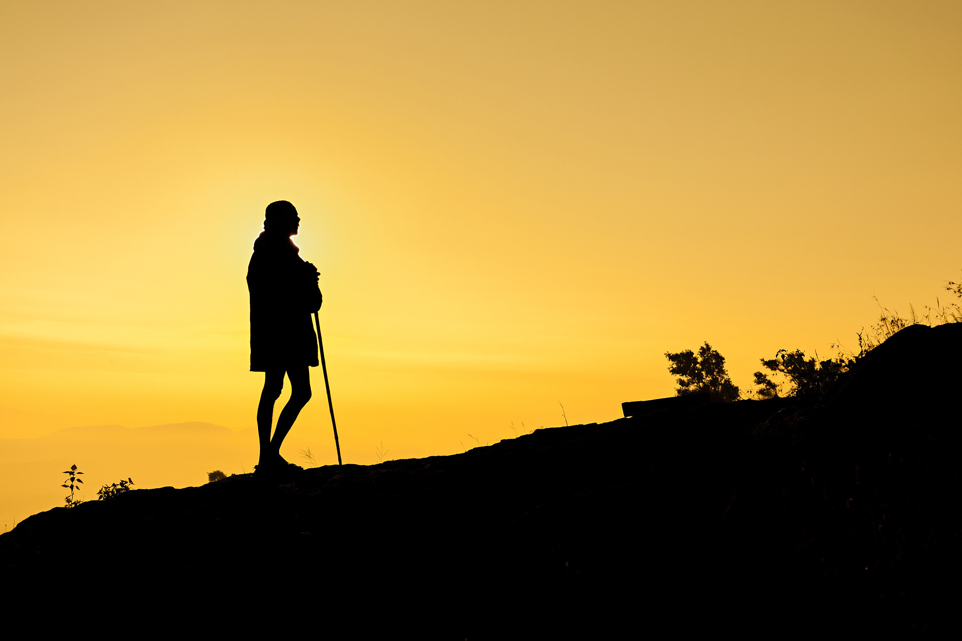 Singing the Forest Songs | Nature inFocus