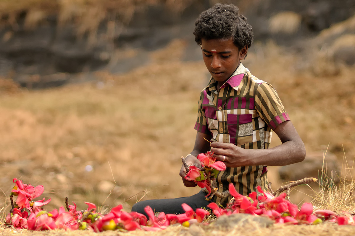 Singing the Forest Songs | Nature inFocus