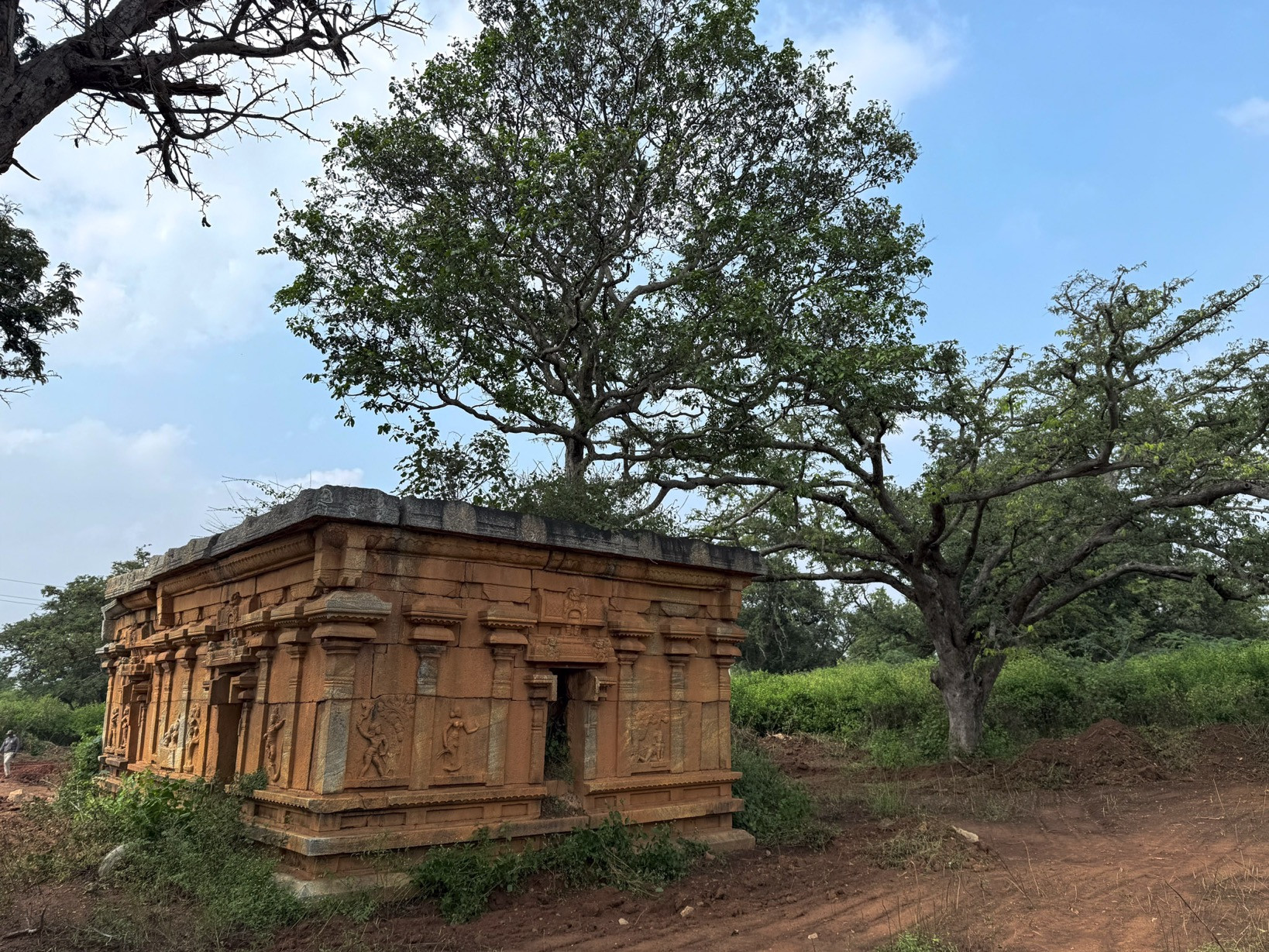 The Ancient Tamarind Trees of Nallur | Nature inFocus