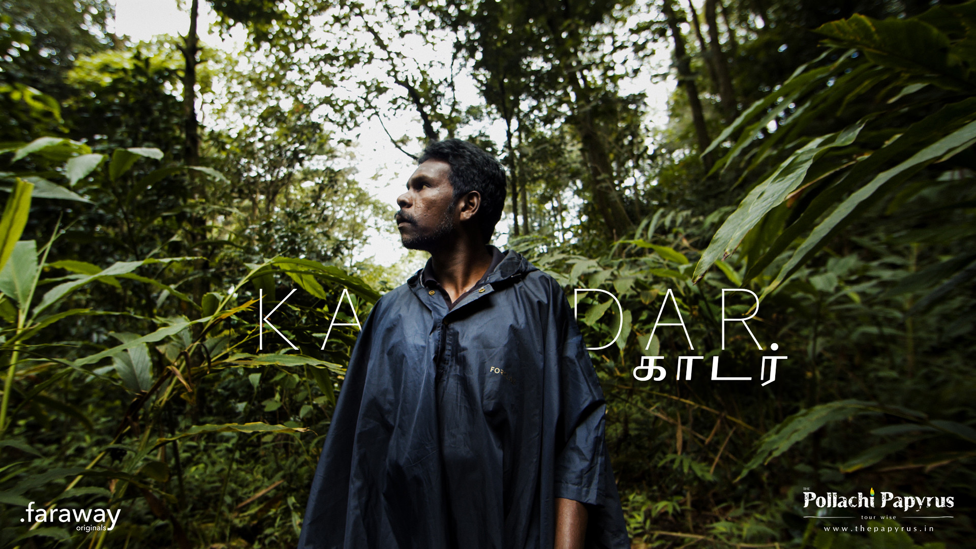 Nature inFocus Film Awards 2020: The Winners | Nature inFocus