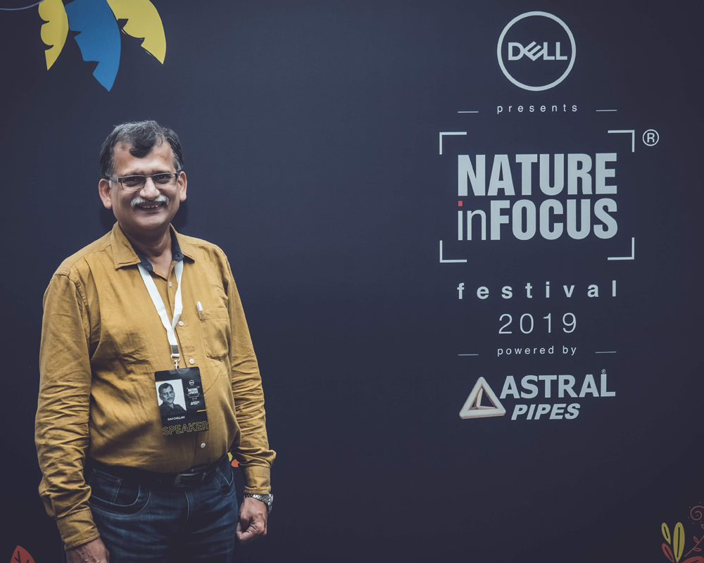 Festival - Gallery | Nature inFocus