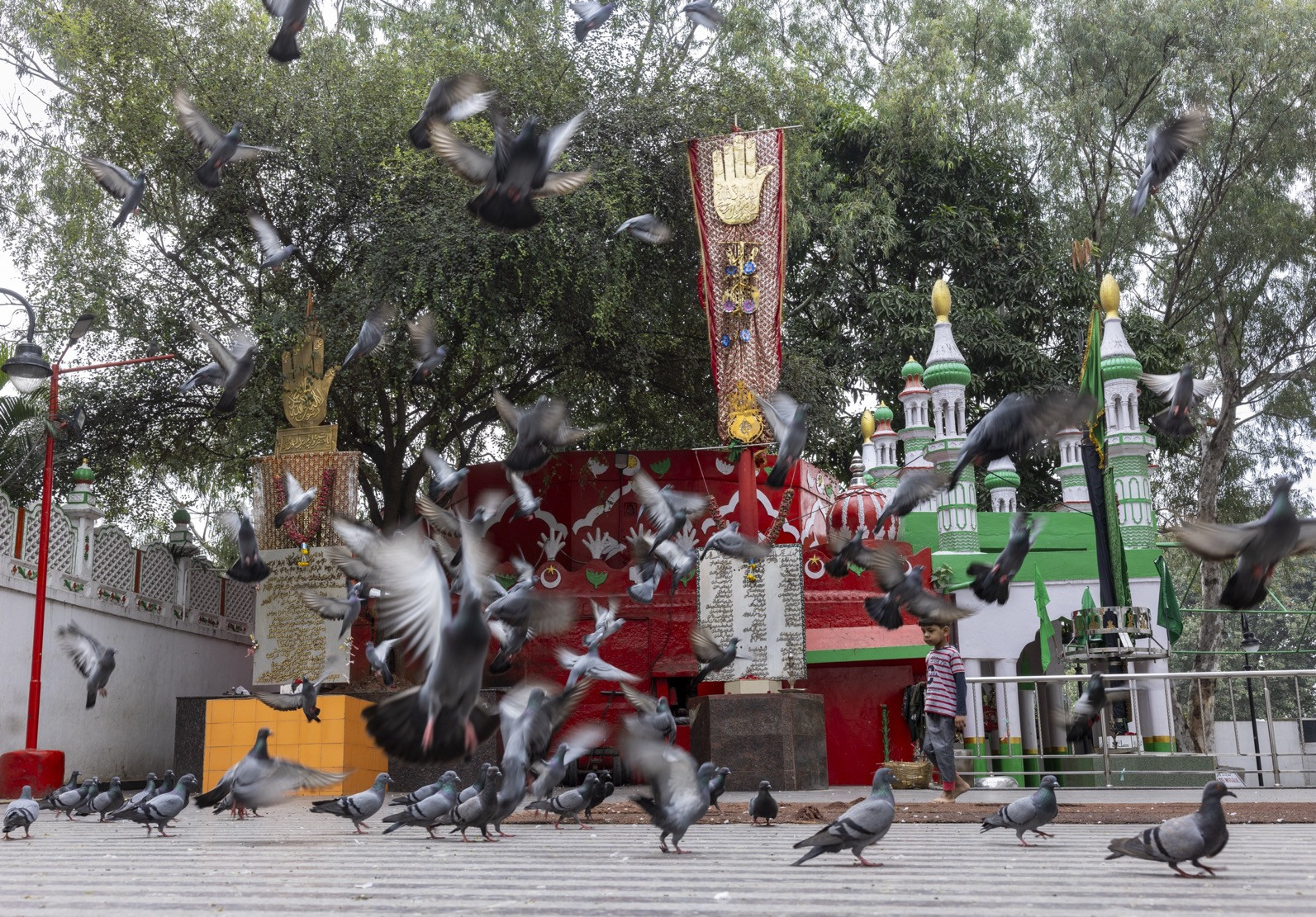 Three Trees, Three Stories | Nature inFocus
