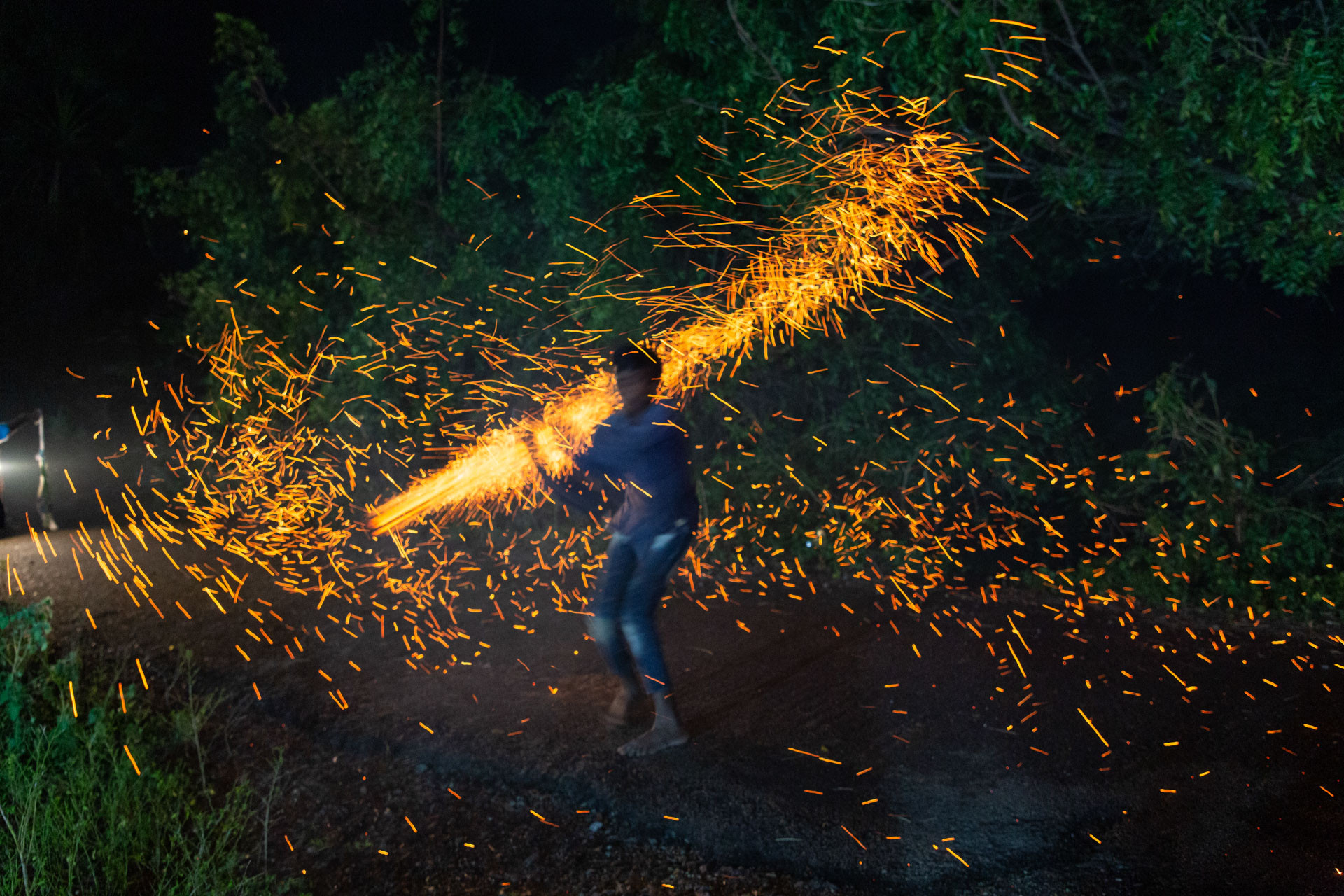 A Tree that Transcends Time | Nature inFocus