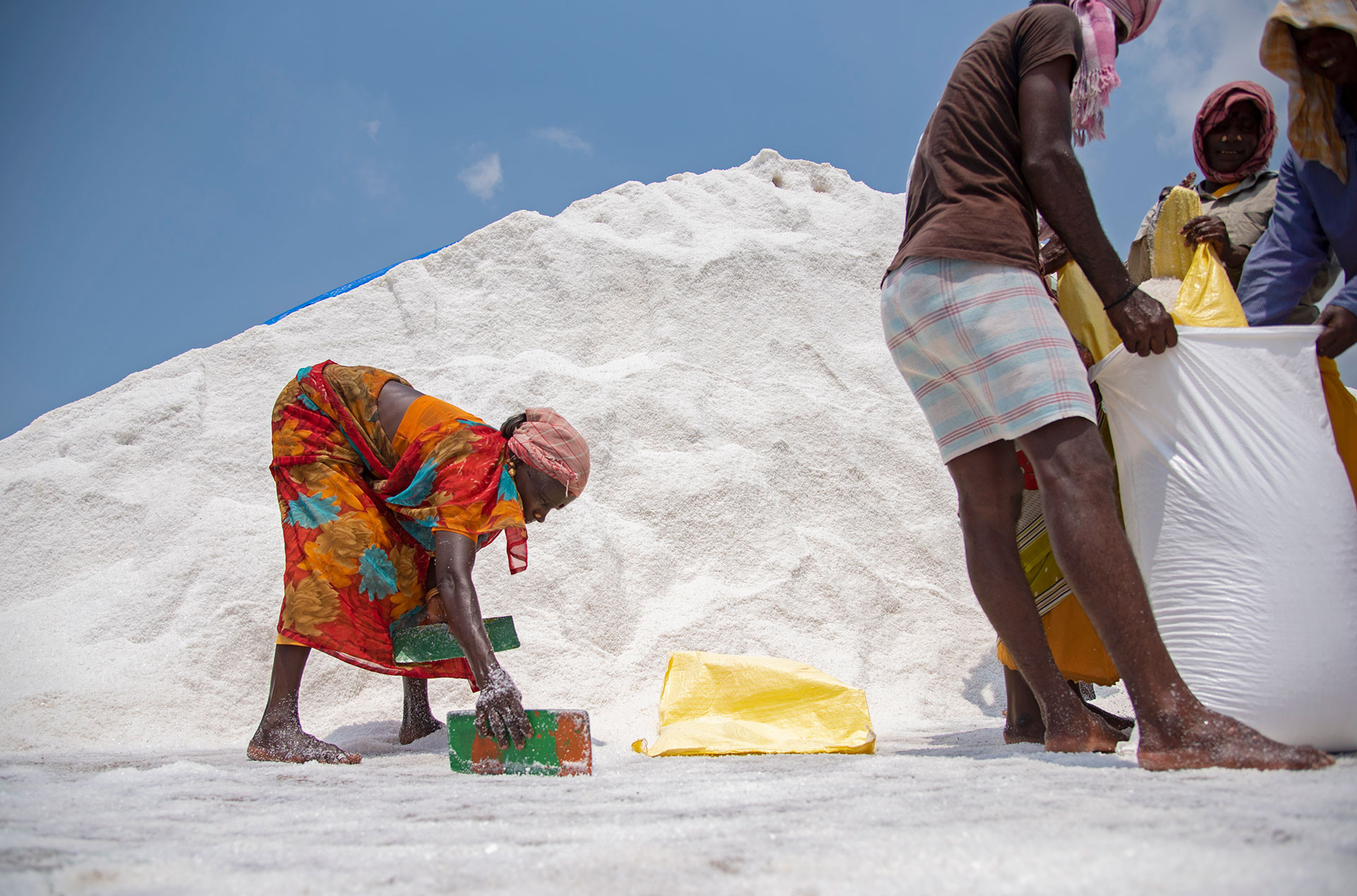 Microplastics In Sea Salts Set Off Alarm Bells | Nature inFocus