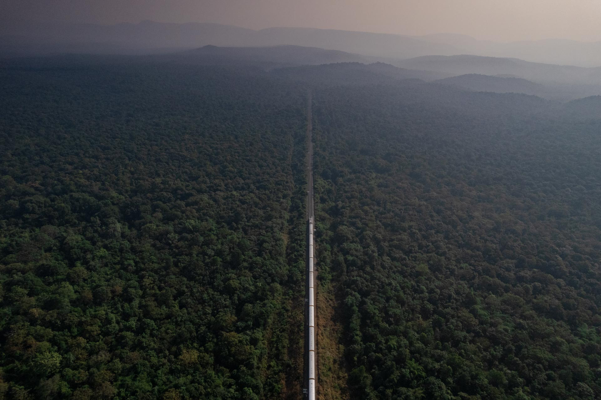 Echoes from the Eastern Ghats | Nature inFocus