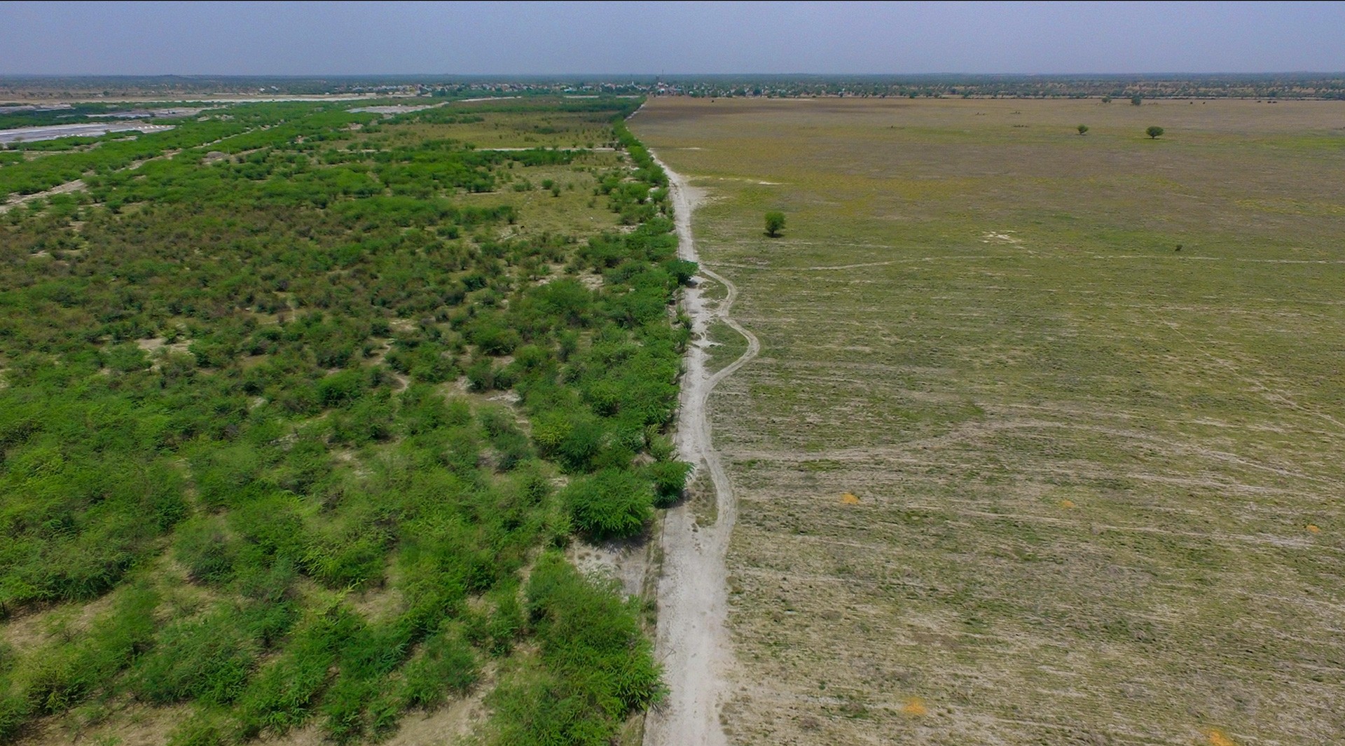 Rewilding nature | Nature inFocus