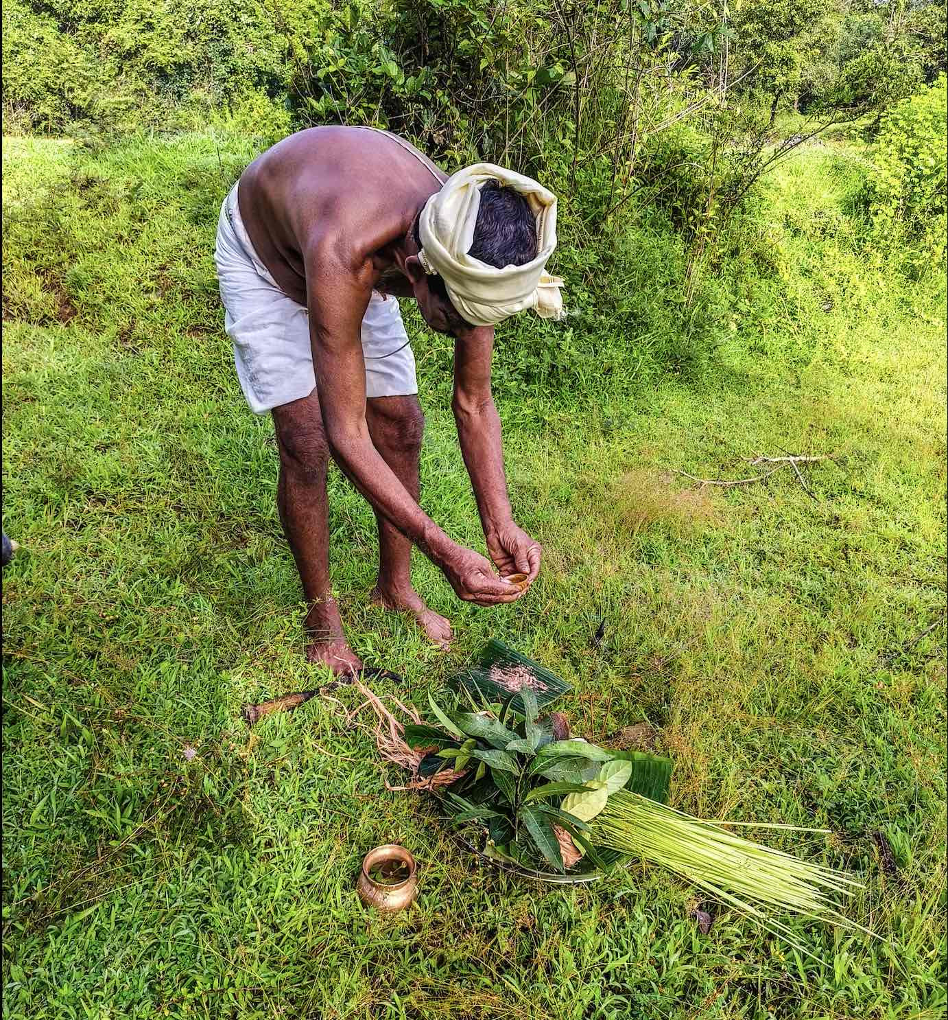 Koral Parbha: Honouring the First Harvest | Nature inFocus