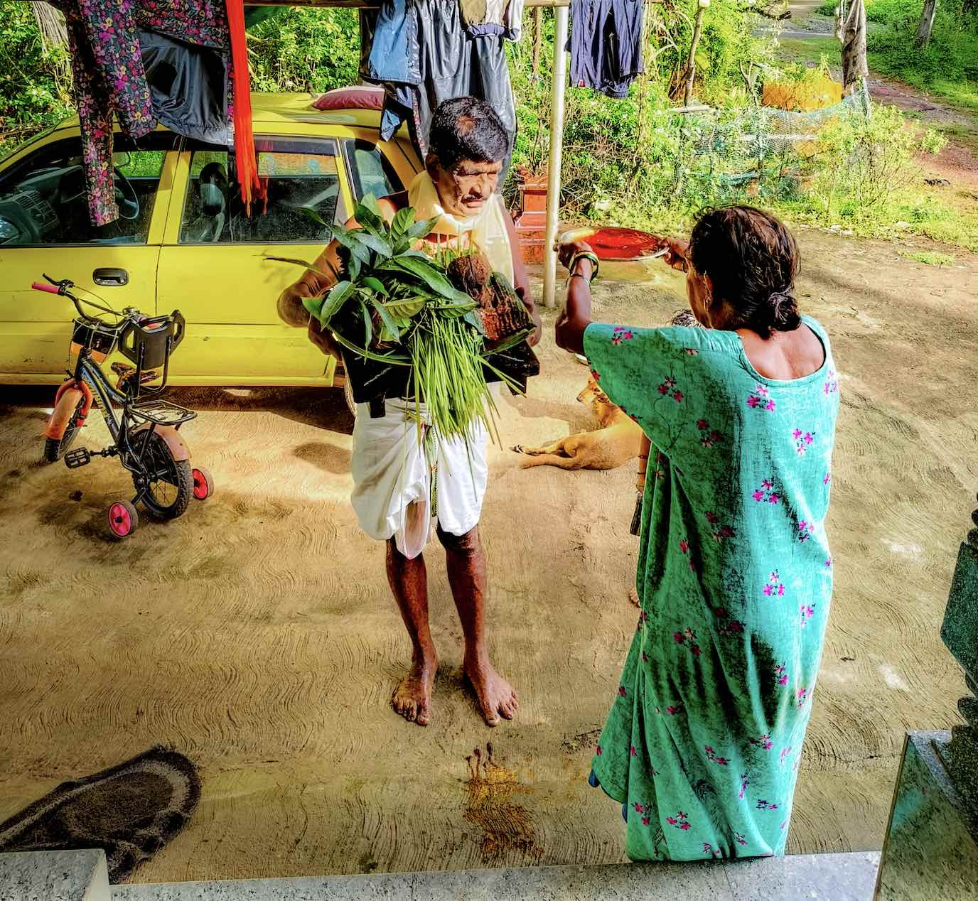 Koral Parbha: Honouring the First Harvest | Nature inFocus