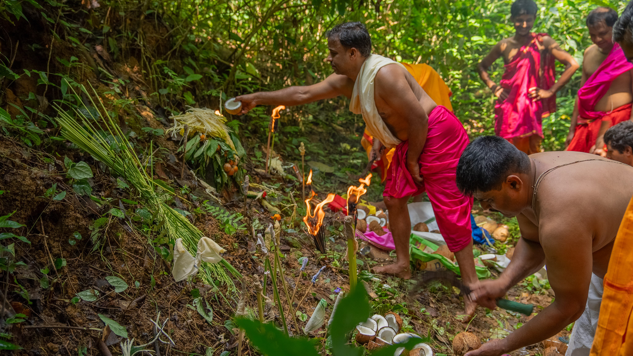 Sacred Spaces of Myristica Swamps | Nature inFocus