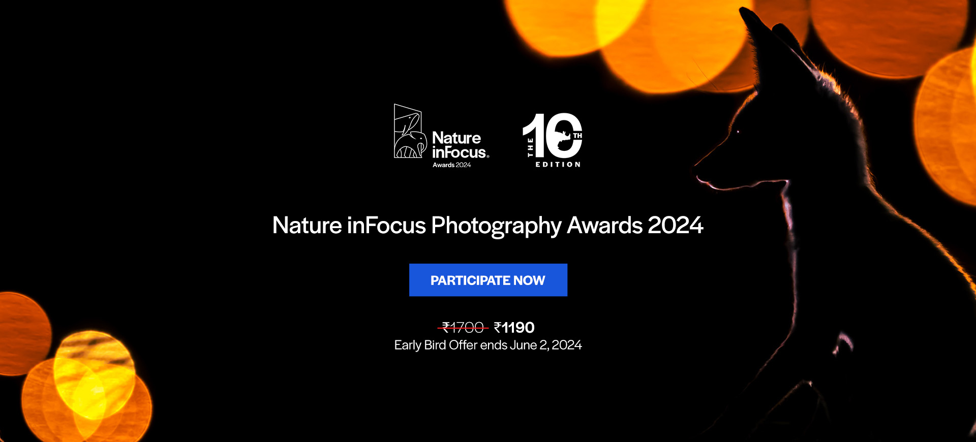 Nature travel, wildlife photography and conservation stories from India ...