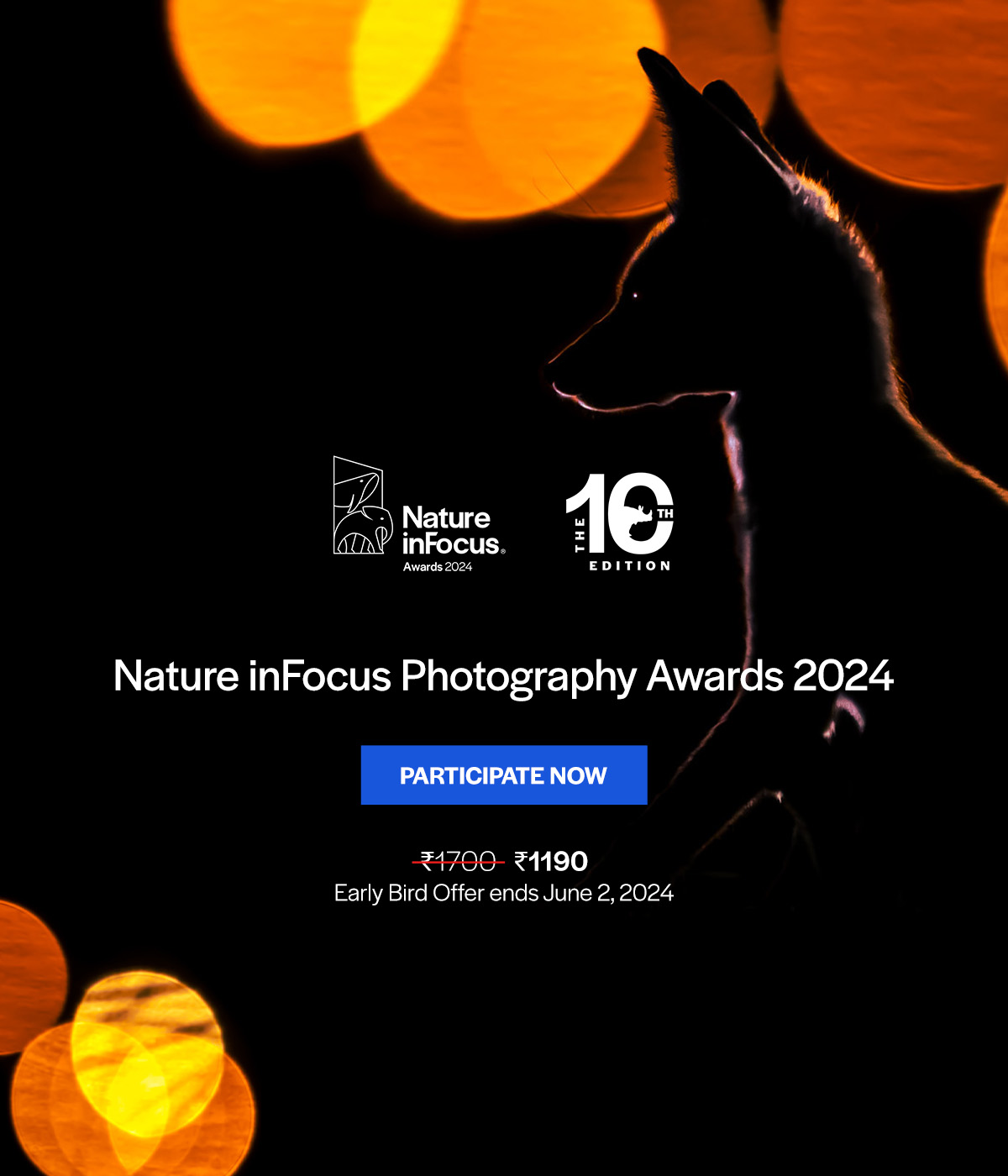Nature travel, wildlife photography and conservation stories from India ...