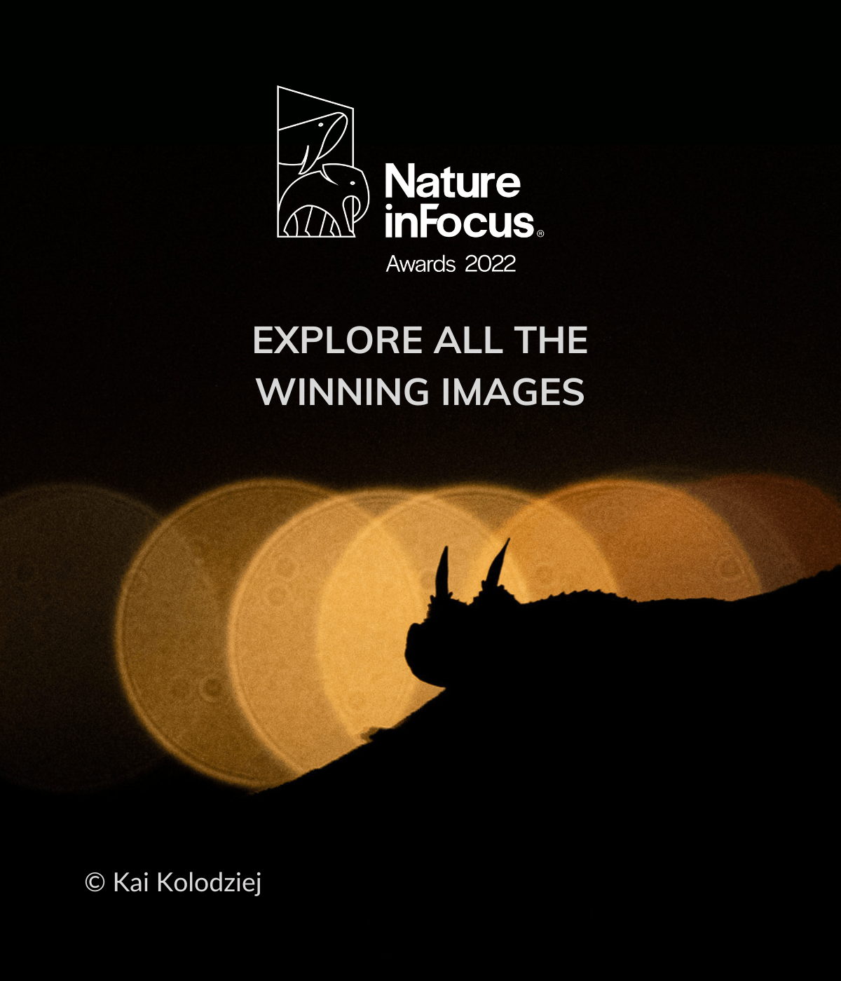 Nature travel, wildlife photography and conservation stories from India ...