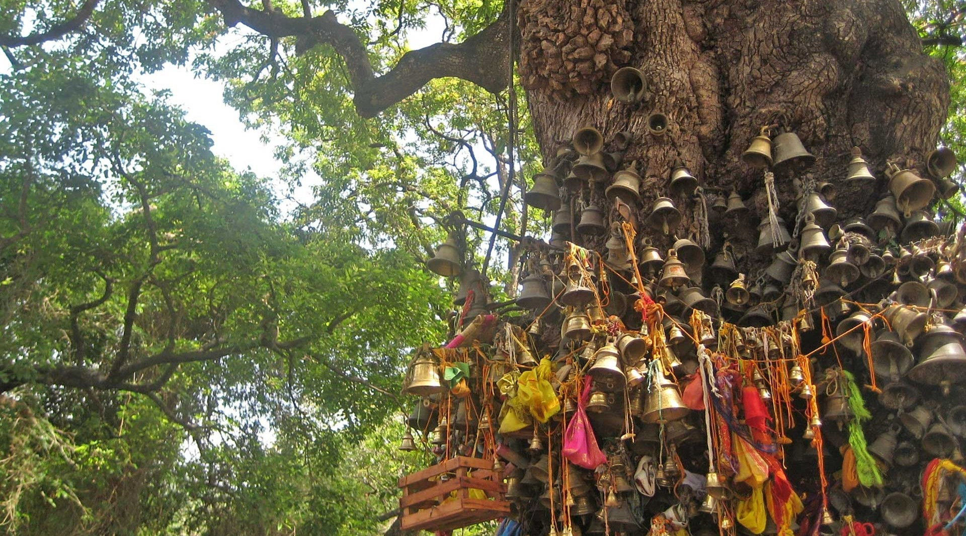 Can Religious Beliefs Aid In Conservation? | Nature inFocus