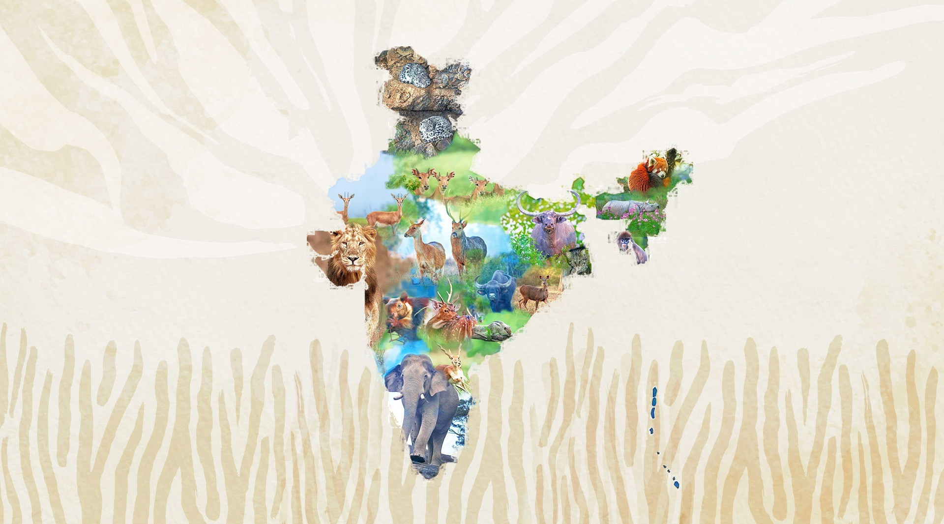 Meet The State Animals Of India | Nature inFocus