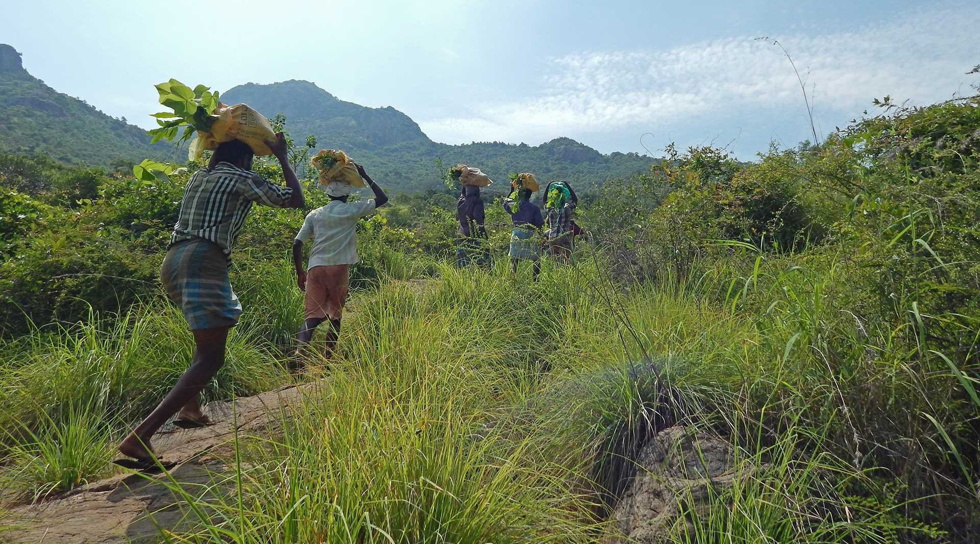 V Arun, Conservationist | Nature inFocus