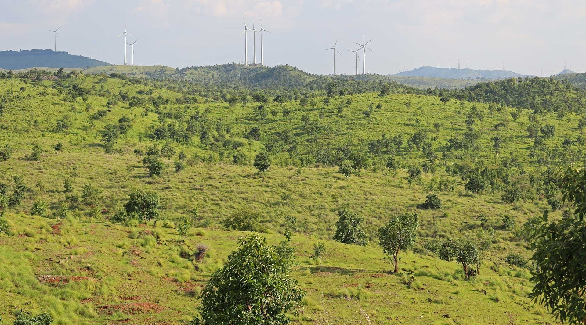 Conservation And The Commons | Nature inFocus